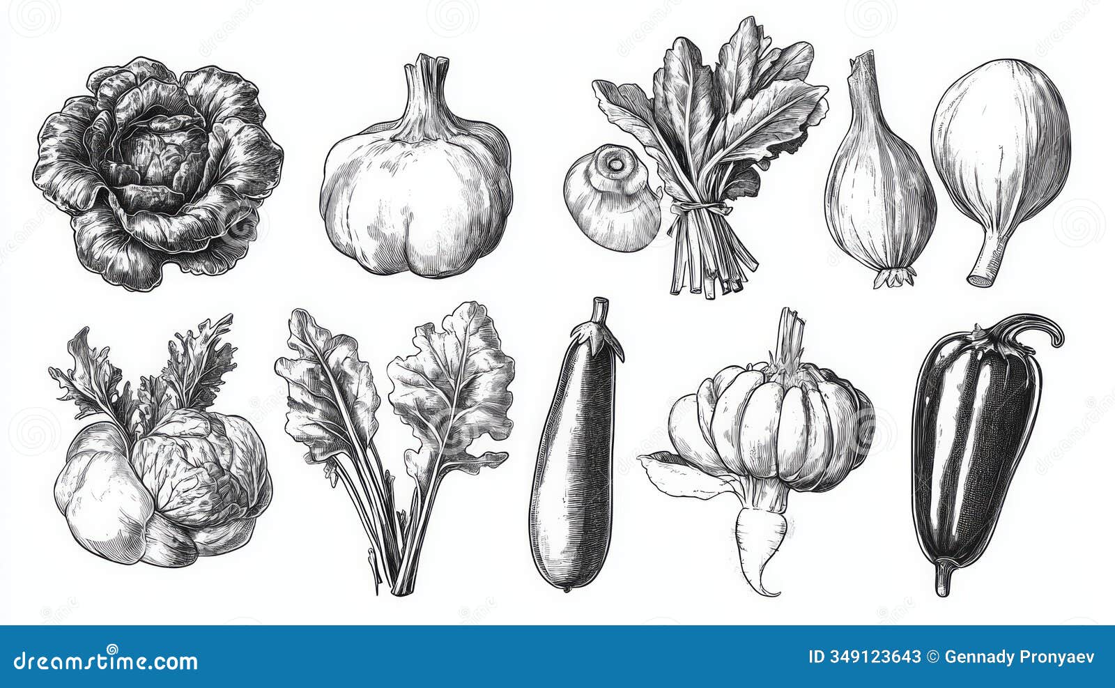 A Detailed Sketch Of A Gothic Cathedral, With Elaborate Spires, Flying ...