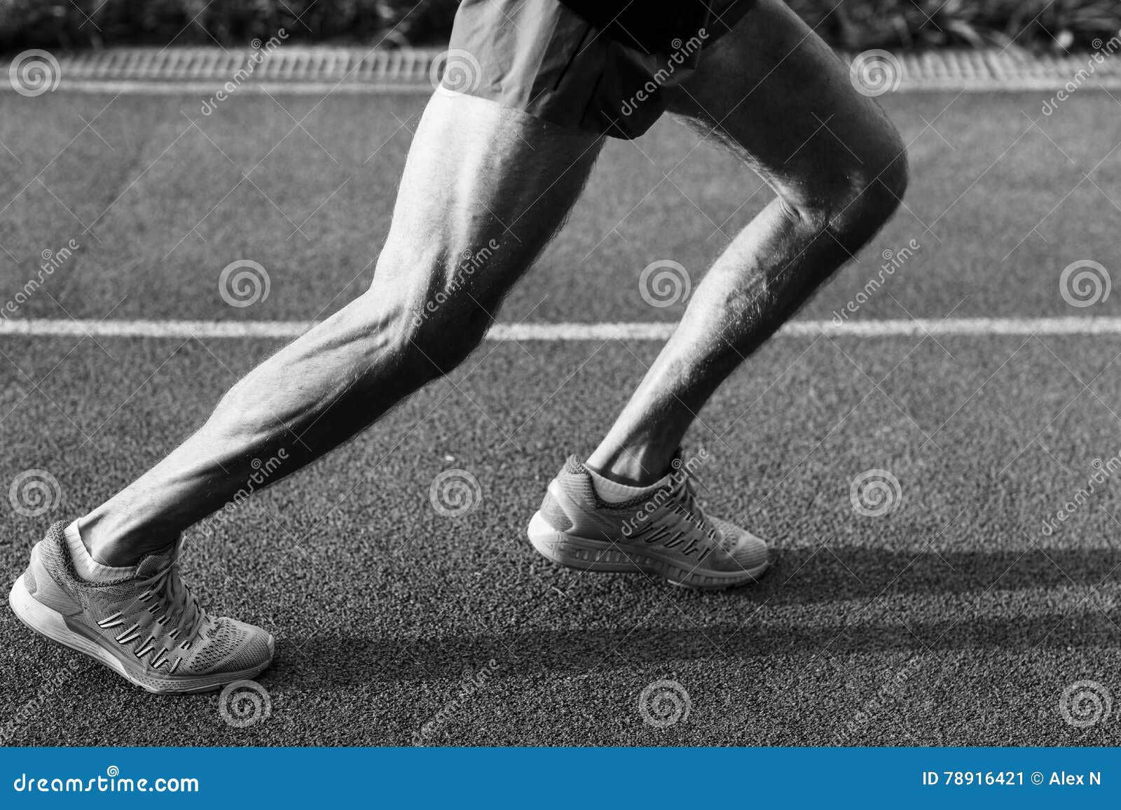 Black and White Image of Athletic Muscular Male Legs Stock Image ...