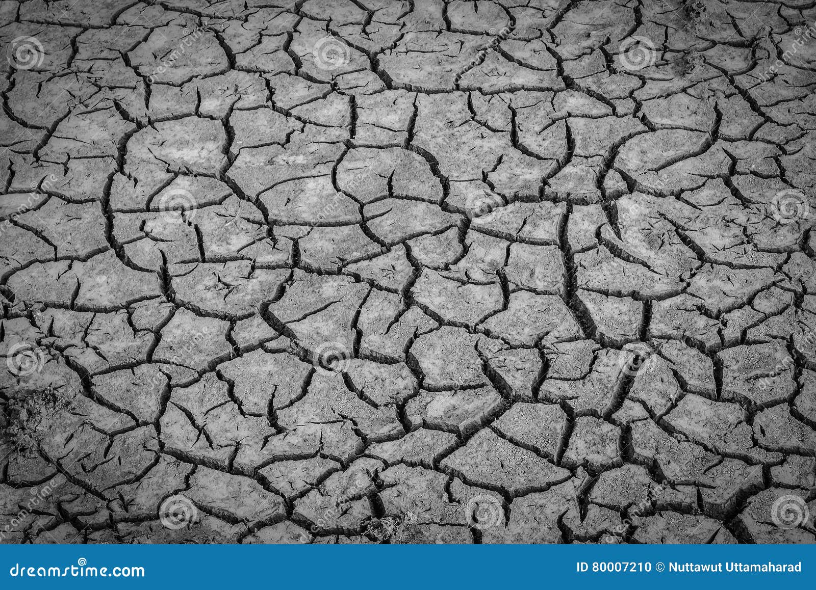 Black and White Image of Background of Dry Cracked Soil Dirt Stock ...
