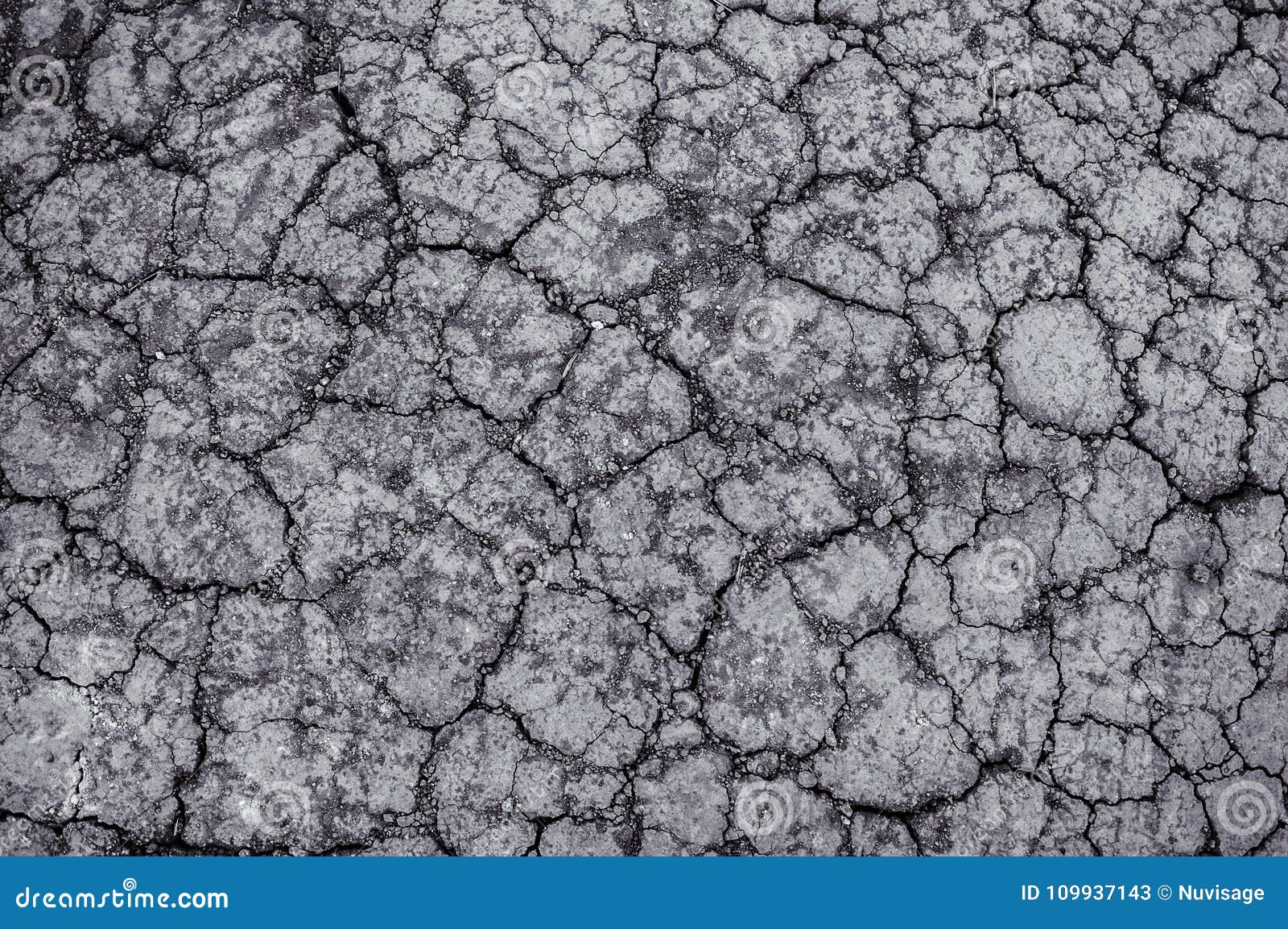 Black and White Image of Dry Cracked Soil Texture Background, Dr Stock ...