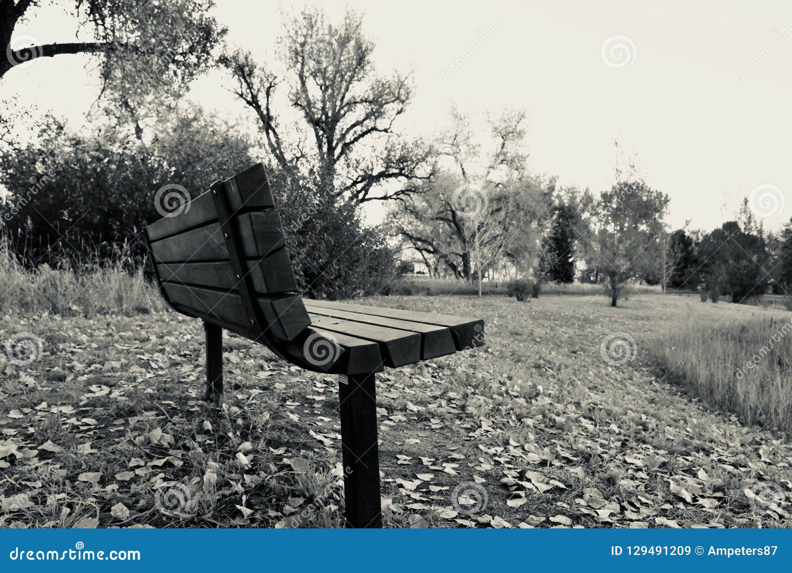 Black and White Image of an Empty Bench Stock Image - Image of black ...