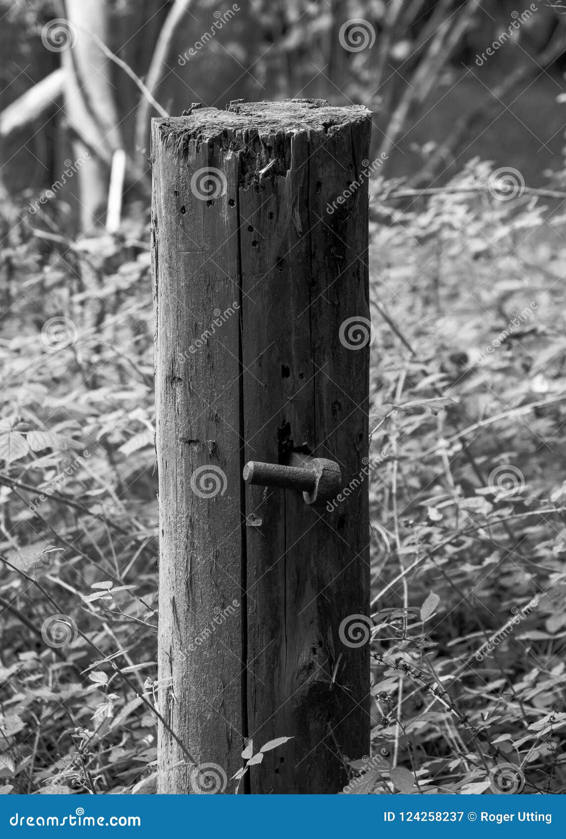 Old gate post stock image. Image of gate, white, hinge - 124258237