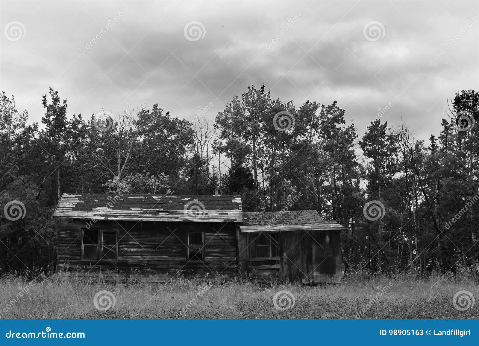 Old Rustic Homestead stock image. Image of house, meadow - 98905163