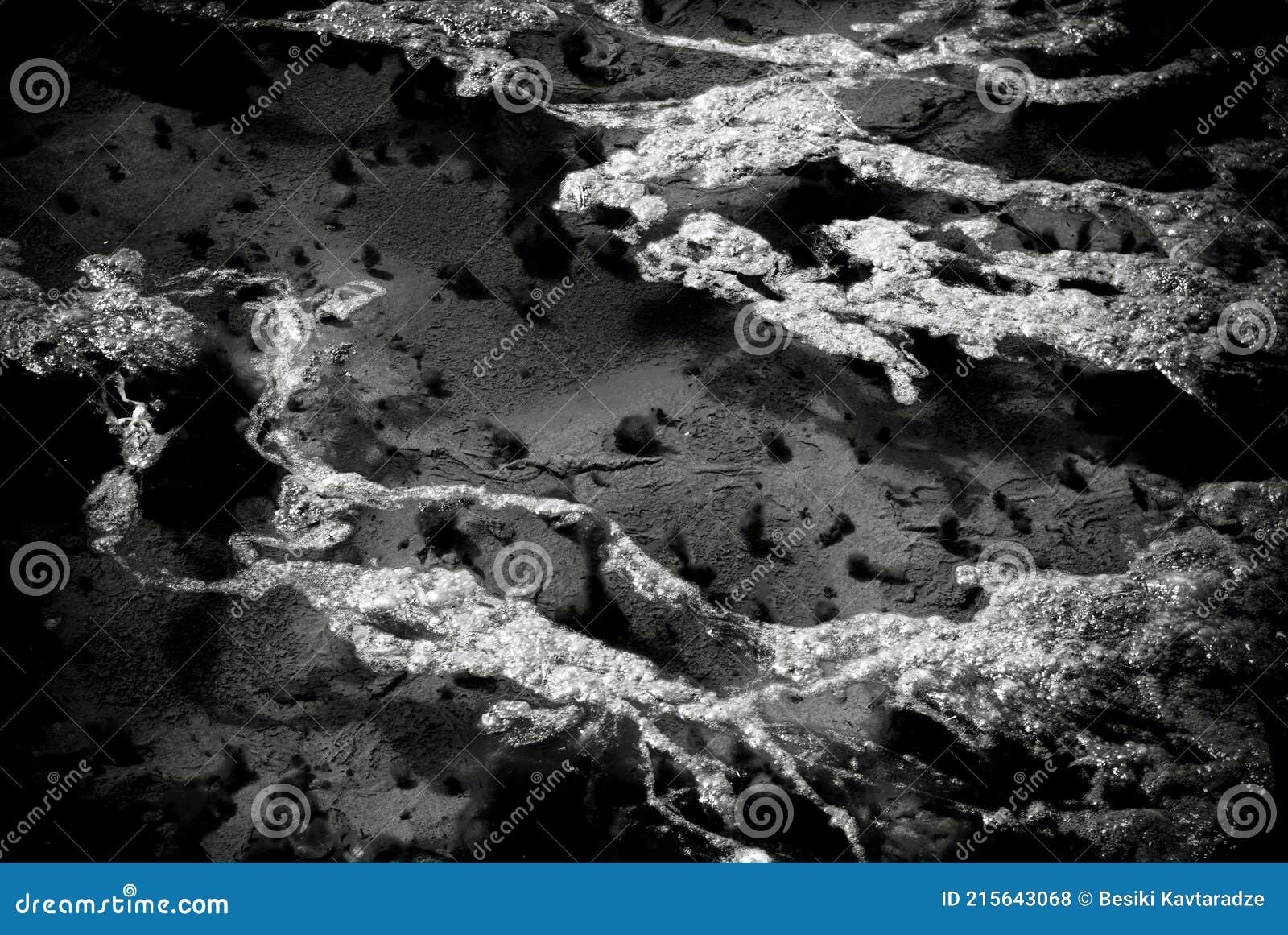 Black and White Image of a Puddle Stock Photo - Image of bottom, swamp ...