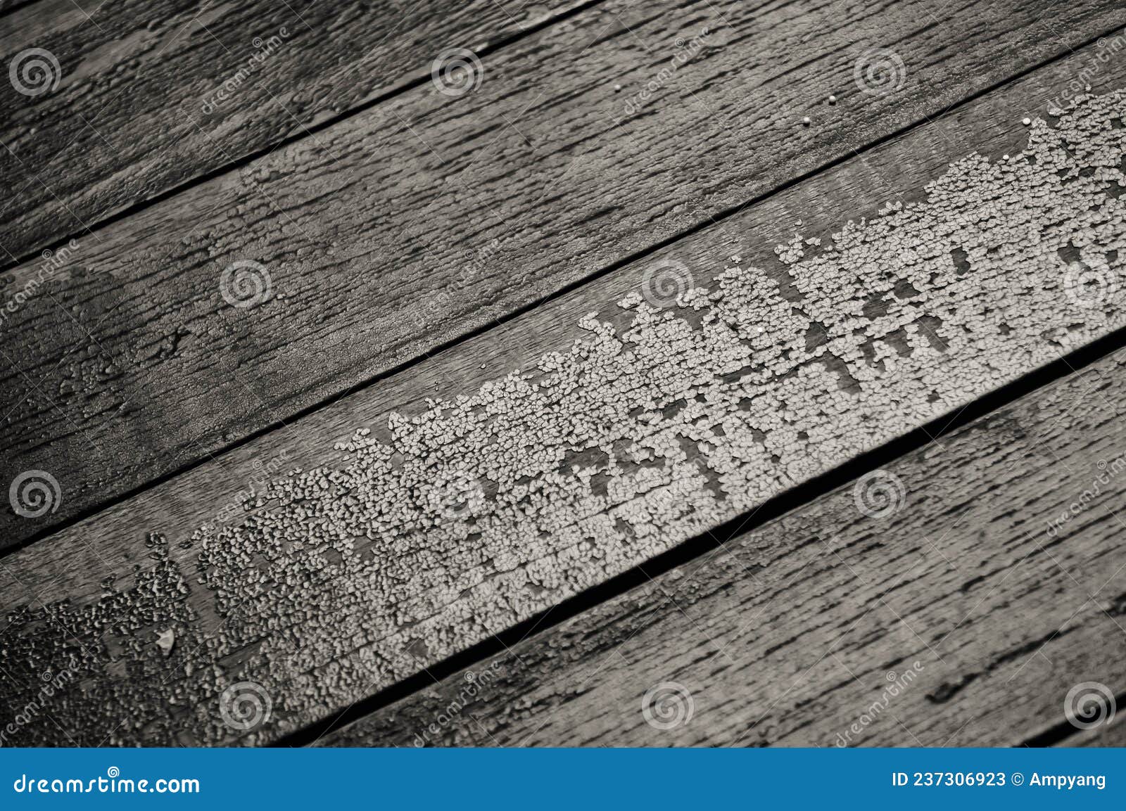 Black and White Image of Rusty Wood Board Stock Image - Image of rusty ...