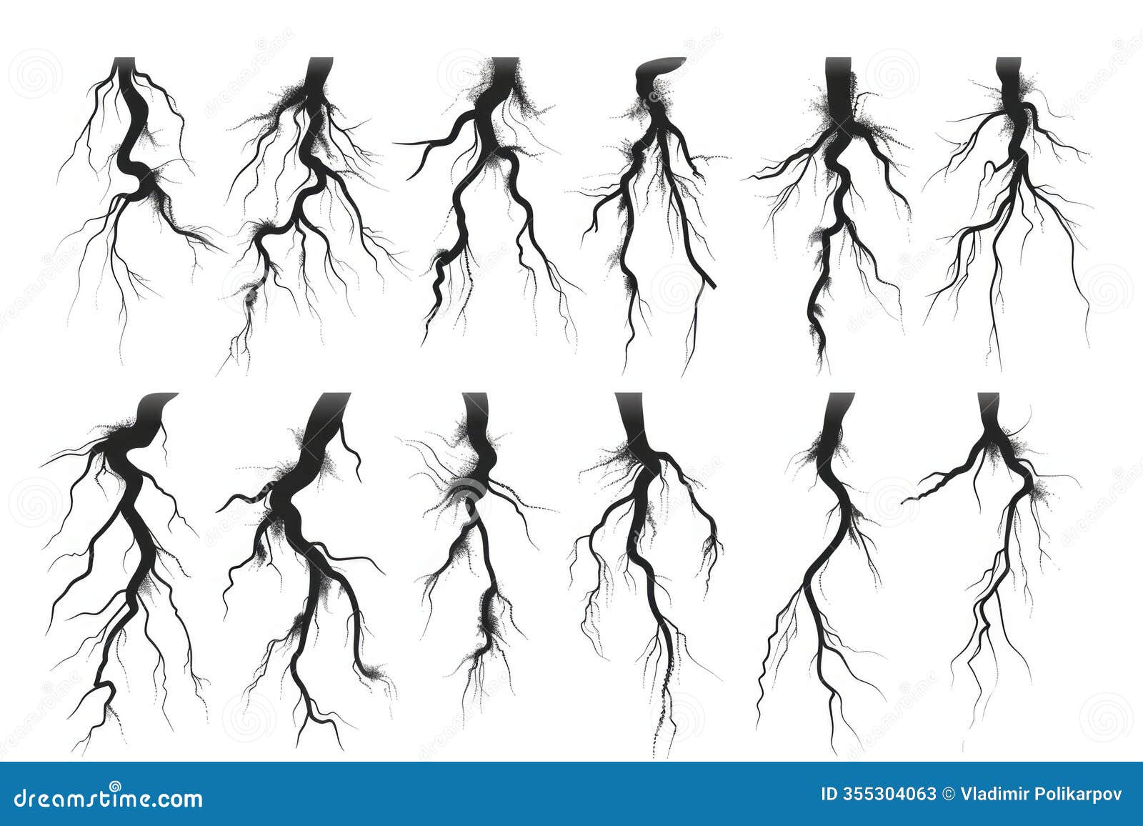 Black and White Image of Tree Roots with Intricate Patterns and Shapes ...