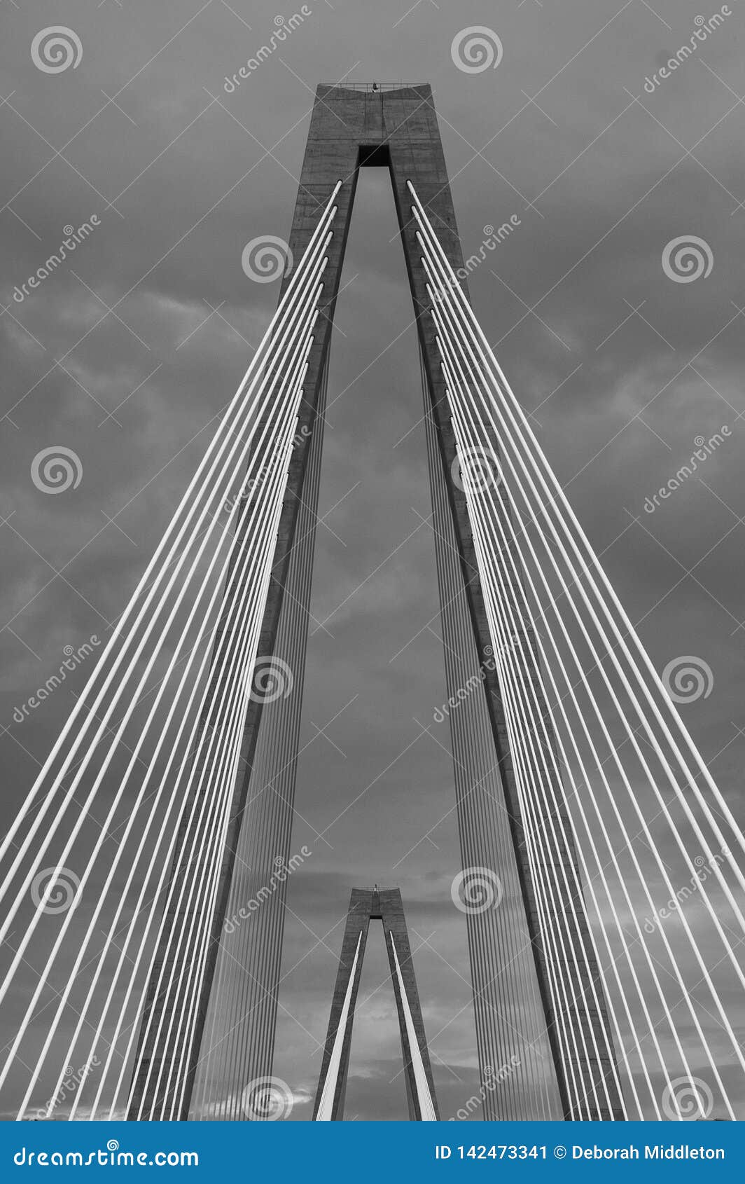 Double Spans of Cable Bridge Stock Image - Image of structure, design ...