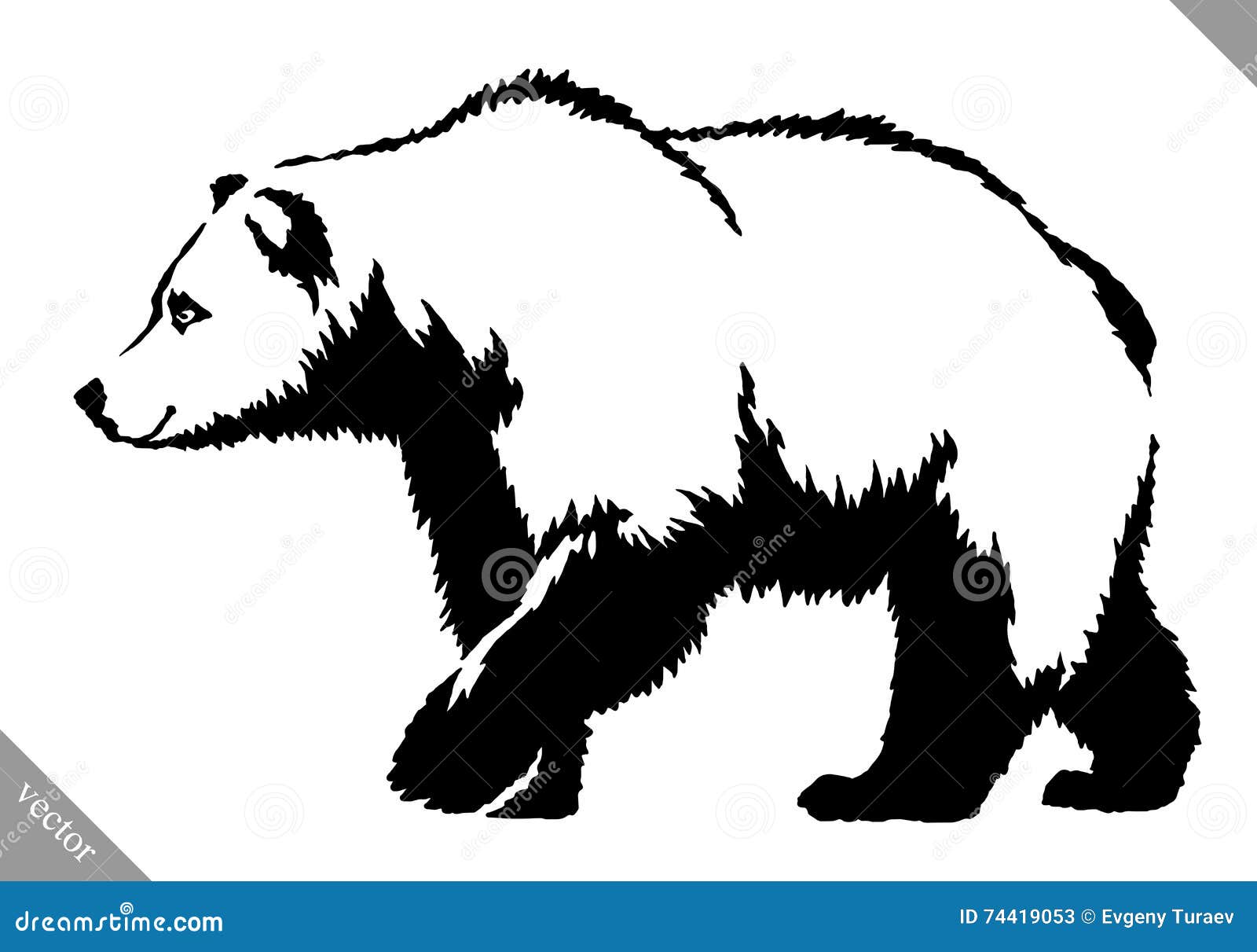 Black And White Ink Draw Bear Vector Illustration Stock Vector
