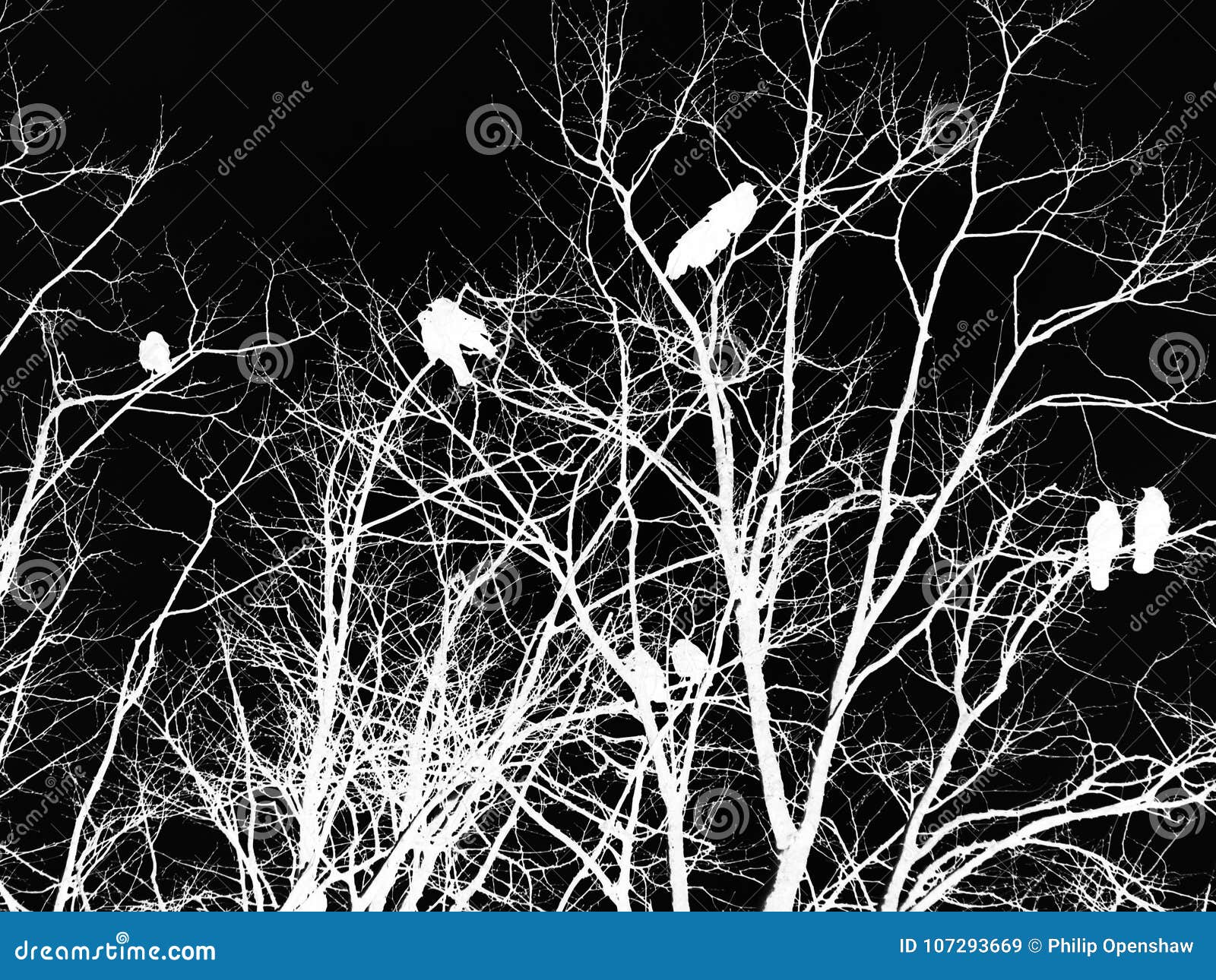 Sinister Inverted Occult Pentagram Royalty-Free Stock Photo ...