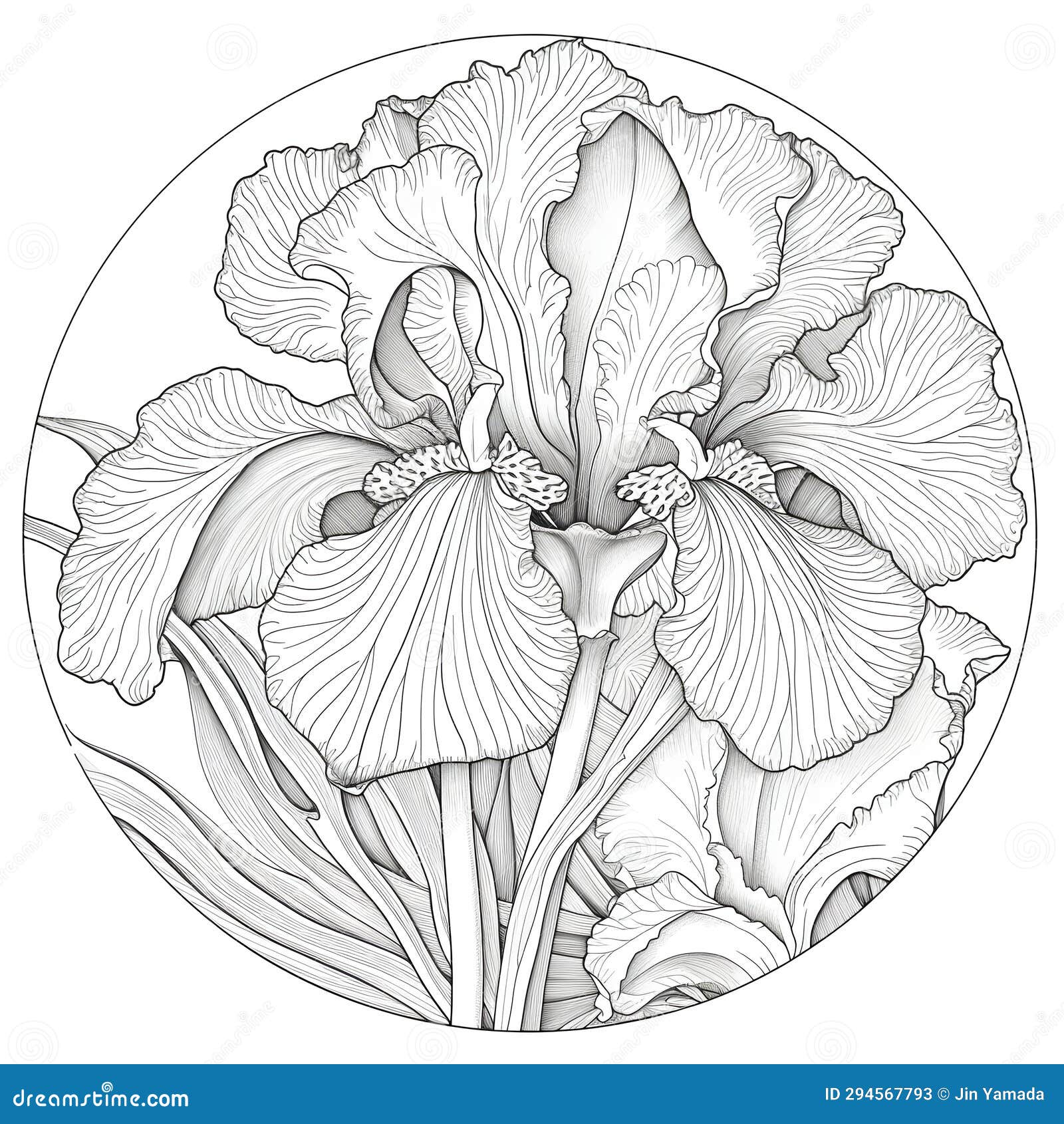 Black and White Iris Flower Coloring Page for Adults. Hand-drawn Vector ...