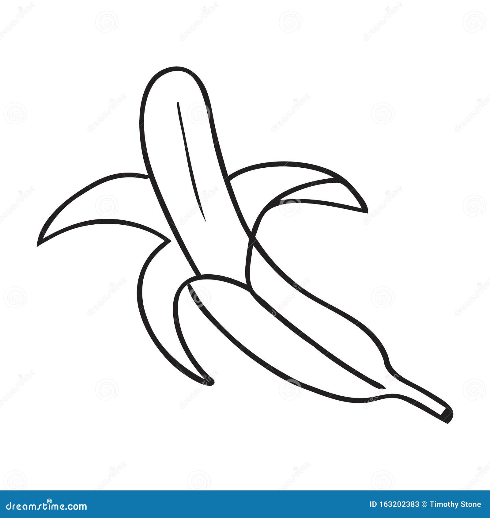 Black and White Isolated Bannana on White Stock Vector - Illustration ...