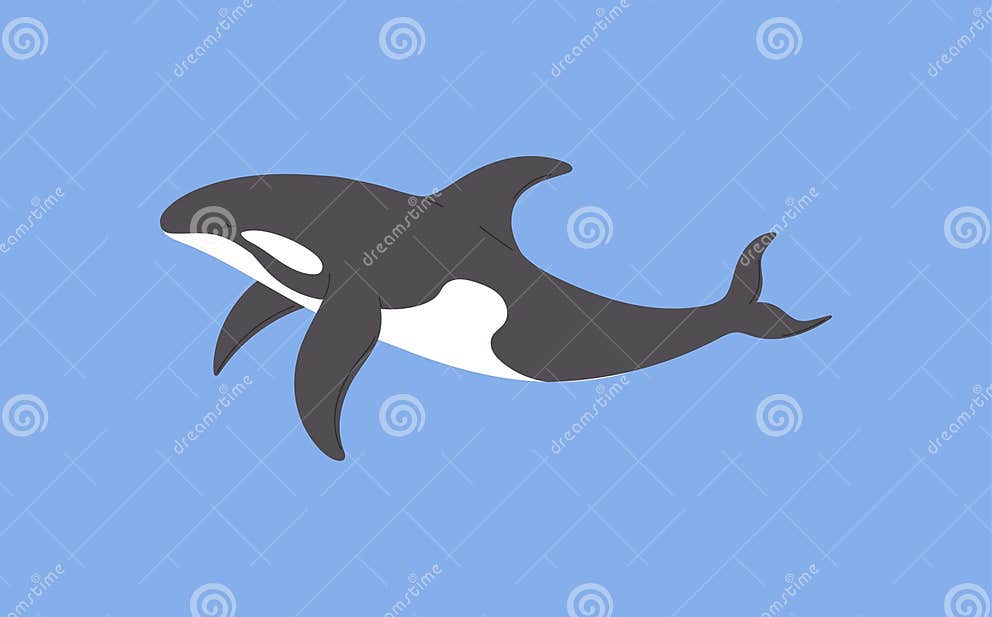 Black and White Killer Whale Arctic Animal Flat Style Stock Vector ... Black and White Killer Whale Arctic Animal Flat Style Stock Vector ...
