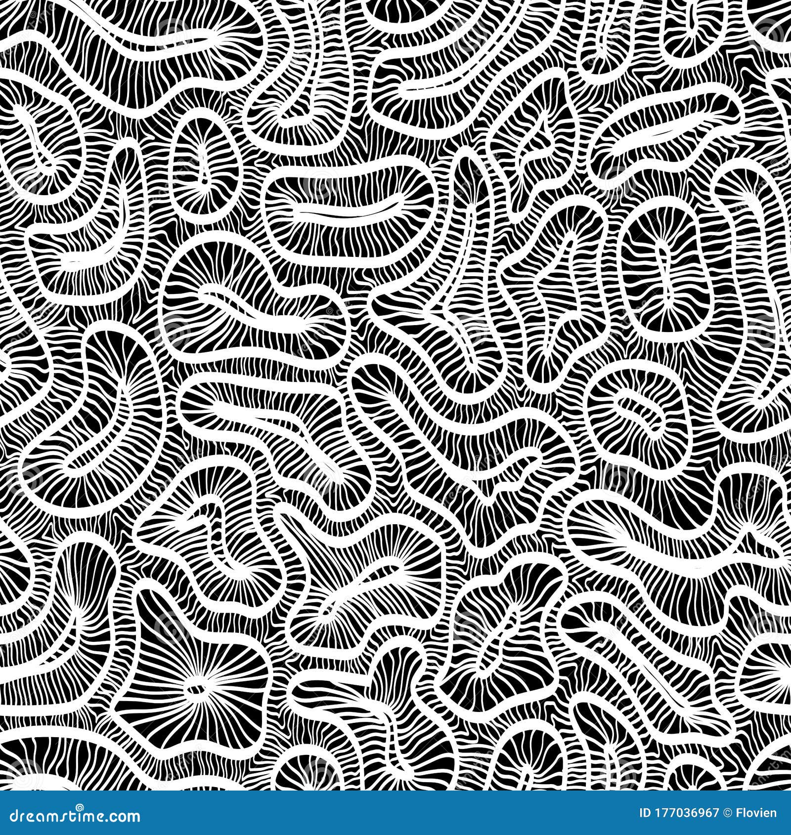 Black and White Lace Pattern. Complex Hand-drawn Ornament in Doodle ...