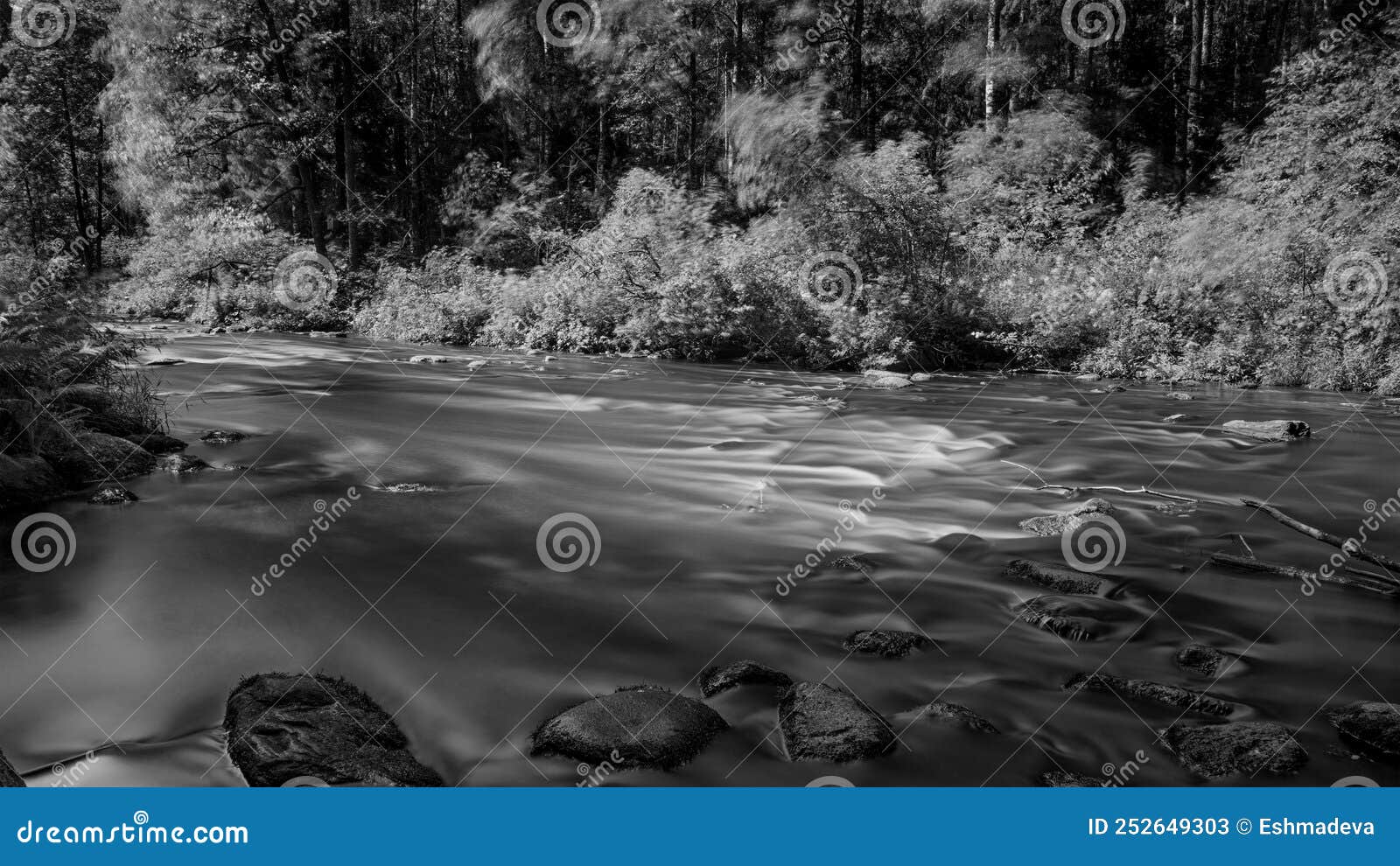 Black and White Landscape with River in the Forest and Water Flow Stock ...