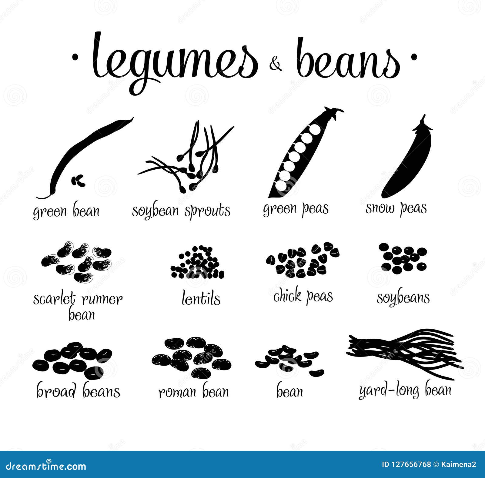 Set Of Different Legumes Cartoon Vector | CartoonDealer.com #45235209