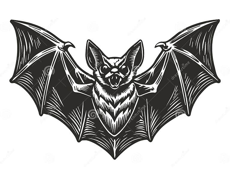 Black and White Line Art of Bat Vector Doodle Art in White Background ...