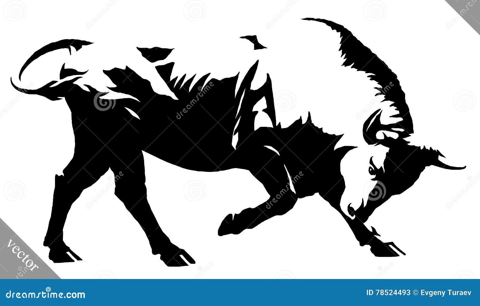 How To Draw Bull Step By Step Cartoon Illustration With White ...