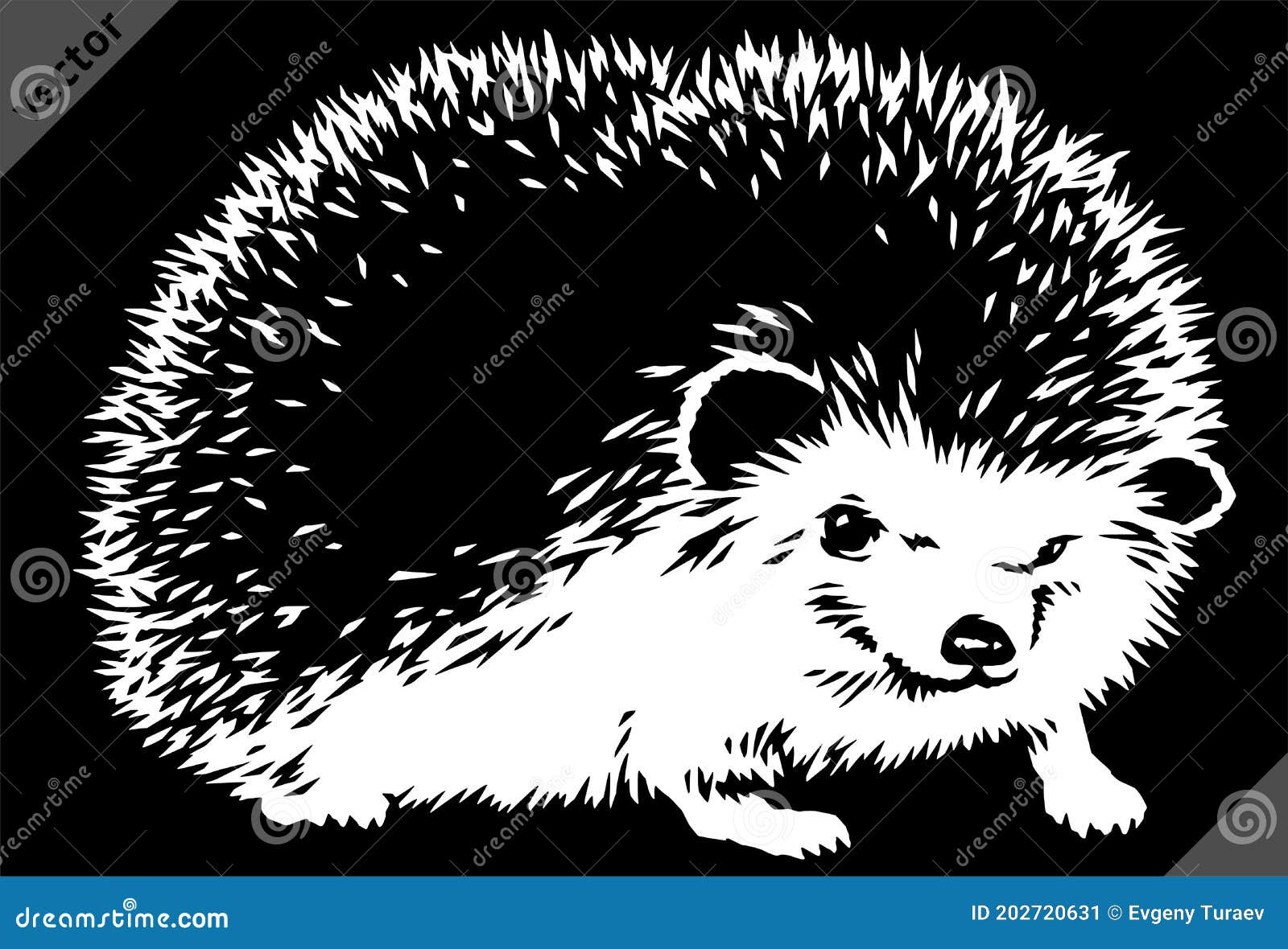 Hedgehog (vector Clip-art) | CartoonDealer.com #3279450
