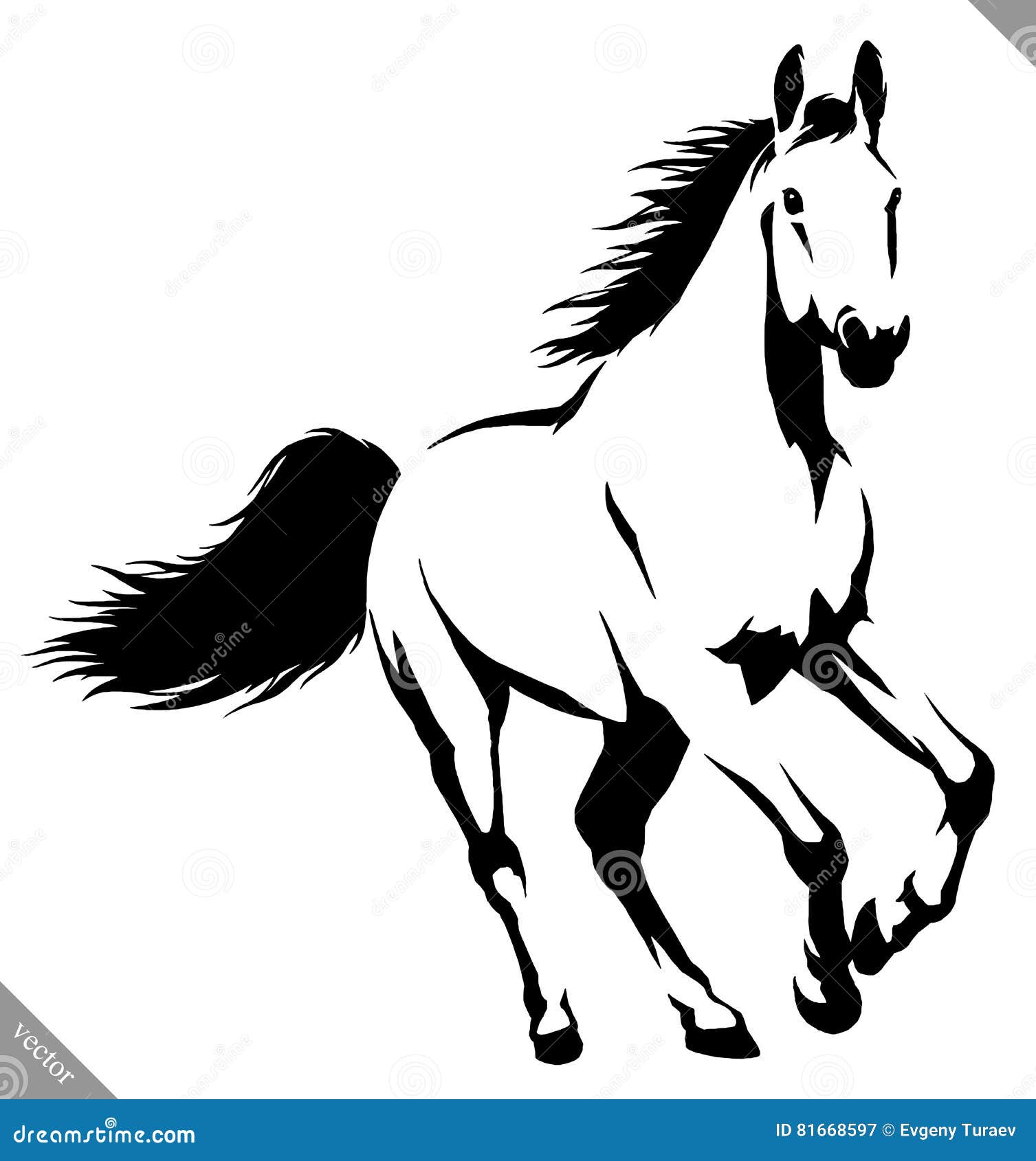 Black and White Linear Paint Draw Horse Vector Illustration Stock ...