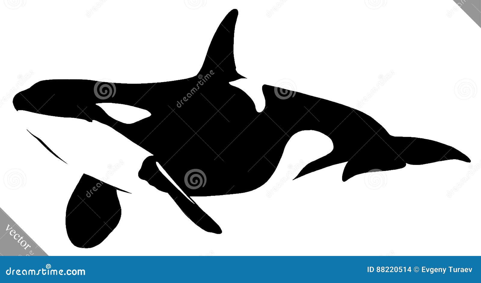 Linear Orca Icon From Animals And Wildlife Outline Collection. Thin ...