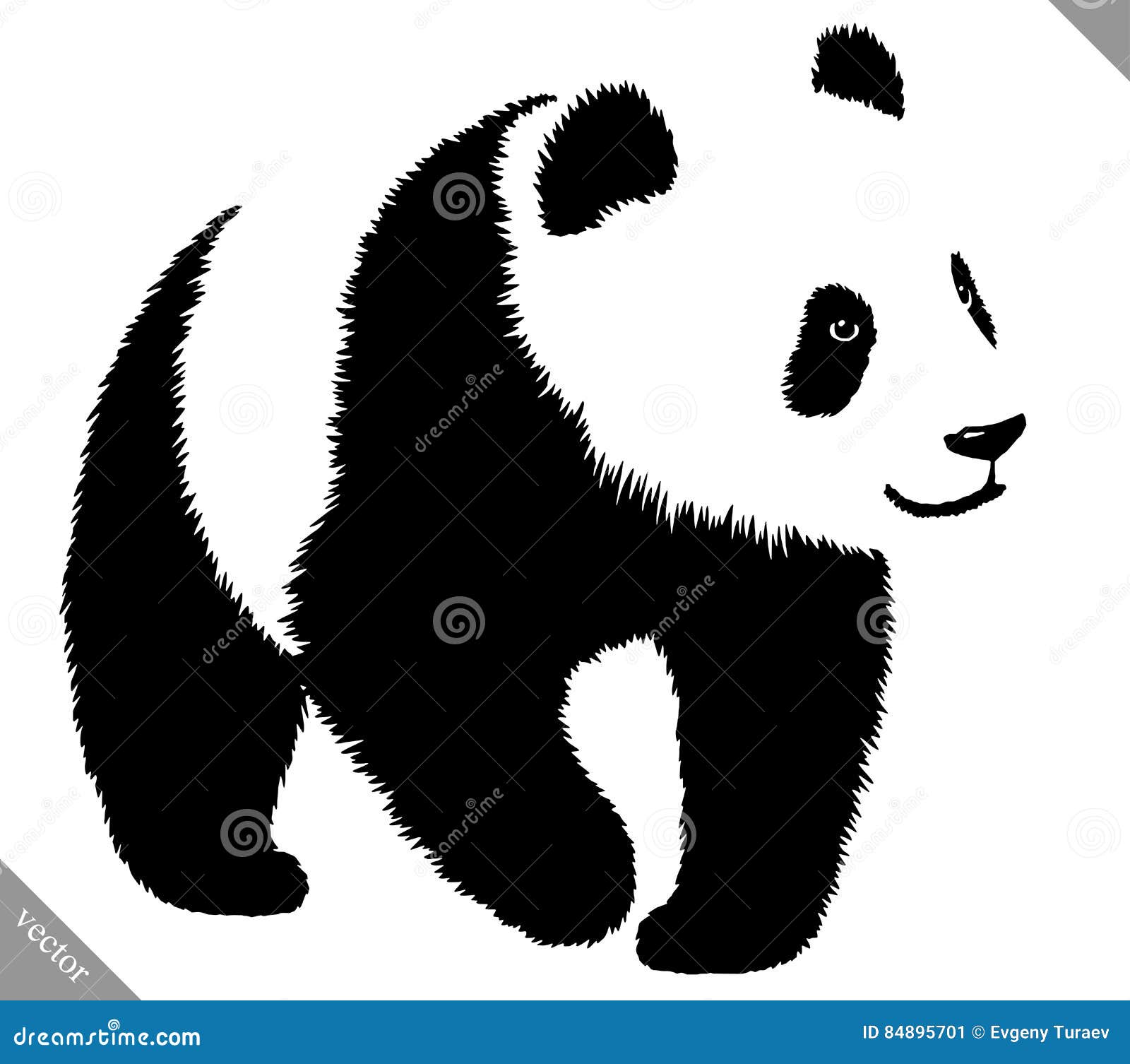 How To Draw Panda For Children. Step By Step Drawing Tutorial Vector ...