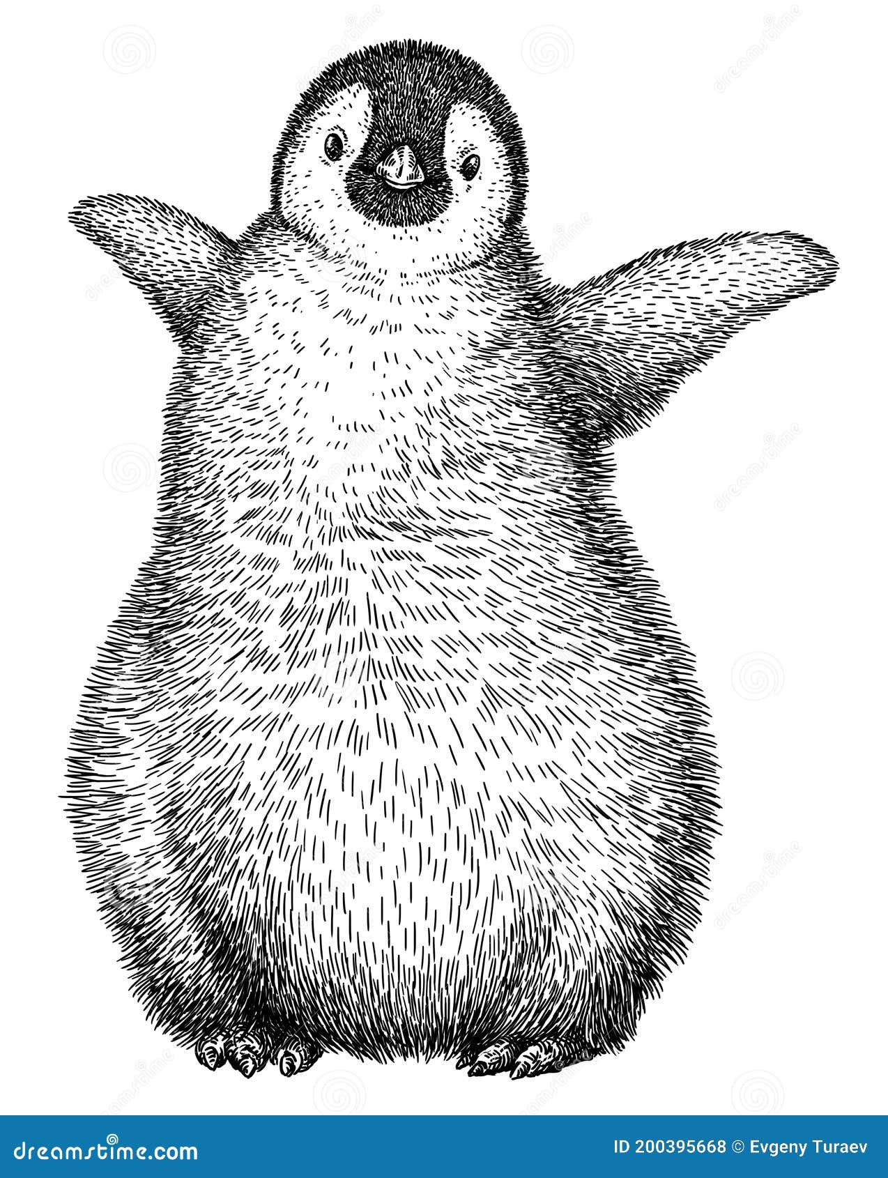 Black and White Linear Paint Draw Penguin Illustration Stock ...