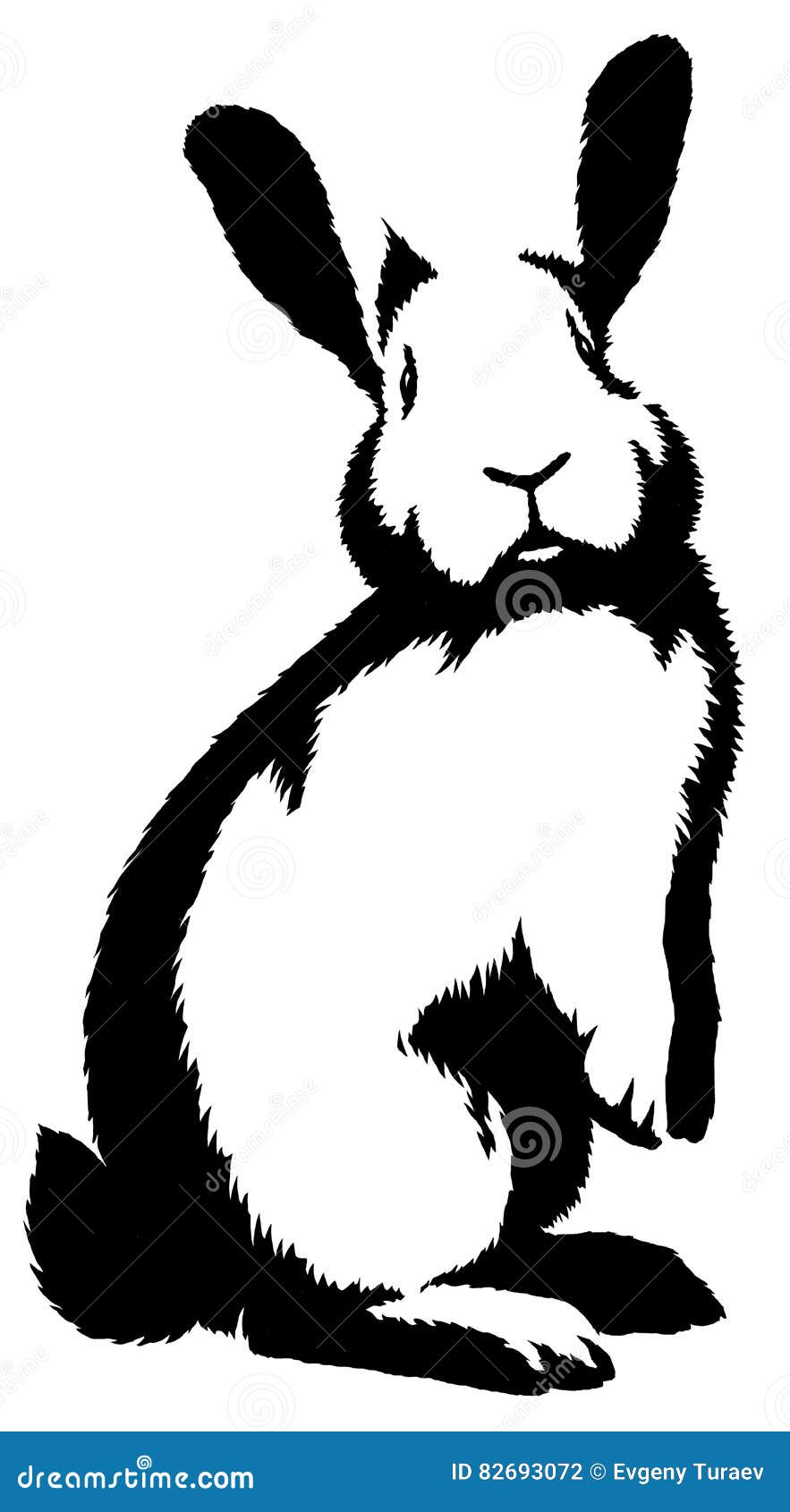 Black and White Linear Paint Draw Rabbit Illustration Stock ...