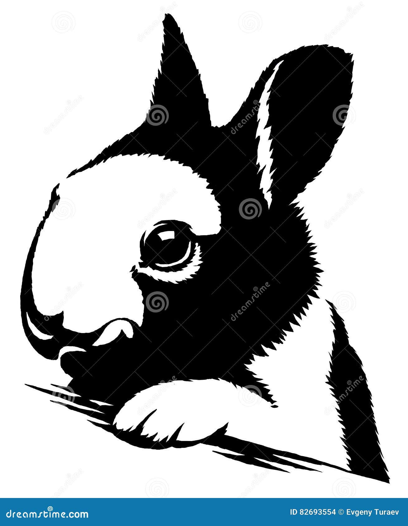 Black and White Linear Paint Draw Rabbit Illustration Stock ...