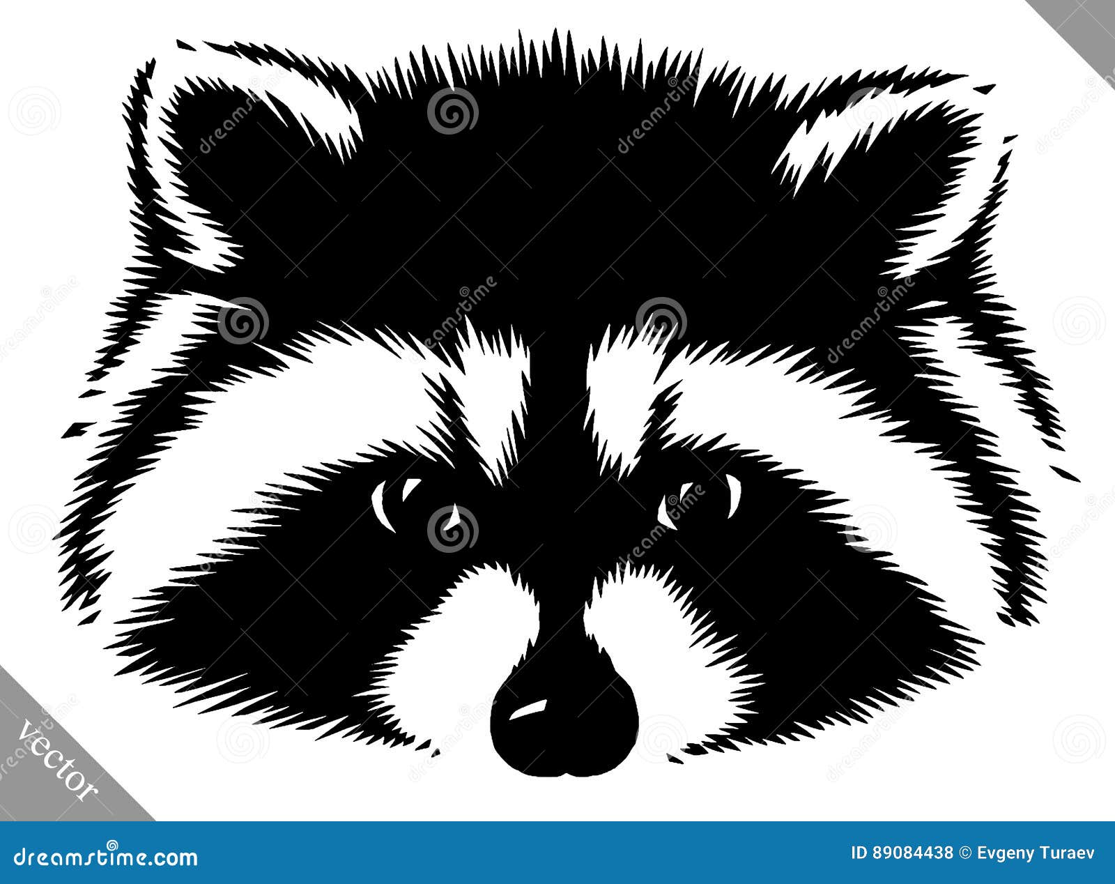 Raccoon Vector Icon On White Background. Flat Vector Raccoon Icon ...
