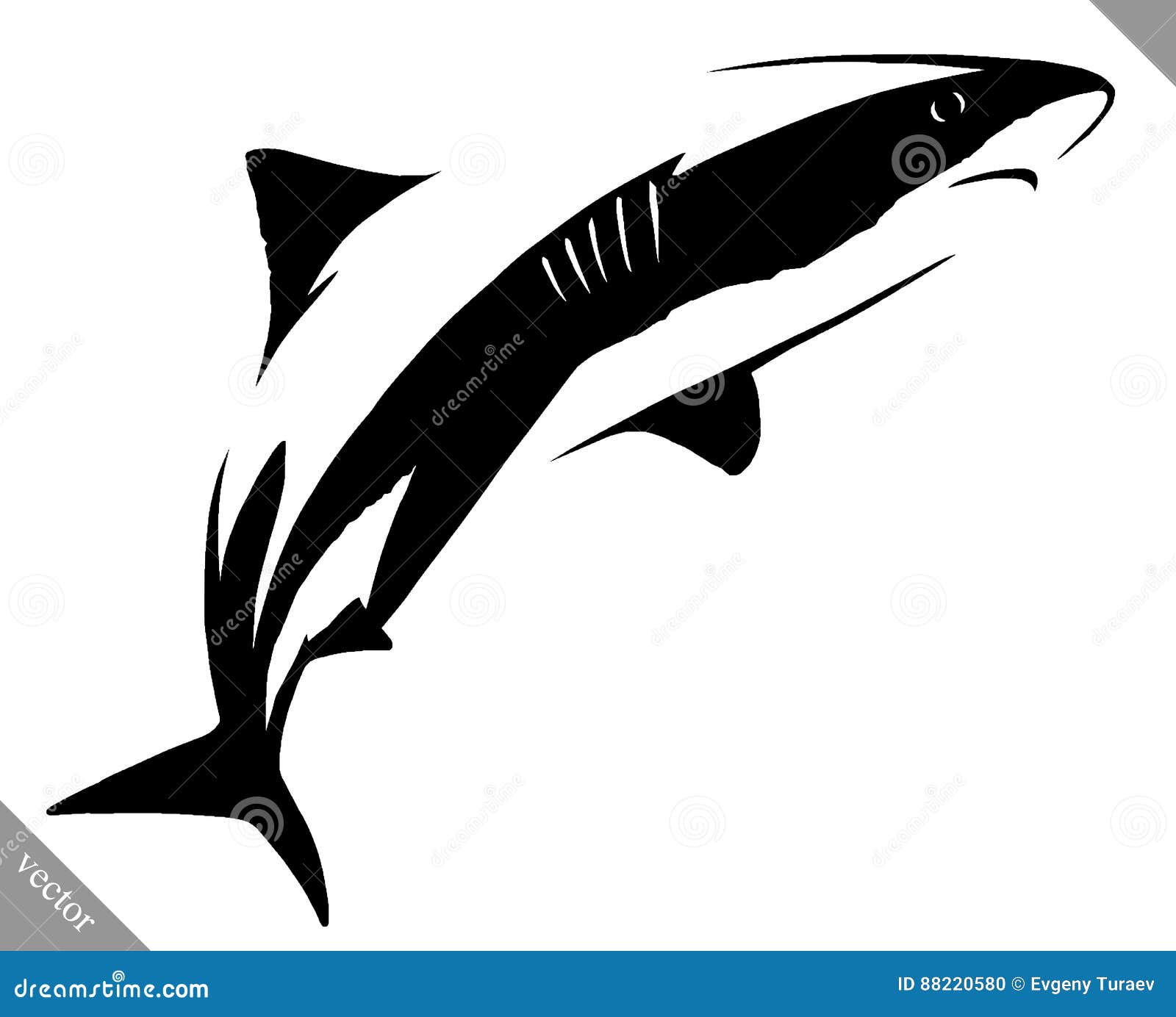How To Draw A Shark. Step By Step Drawing Lesson For Kids. Cartoon ...