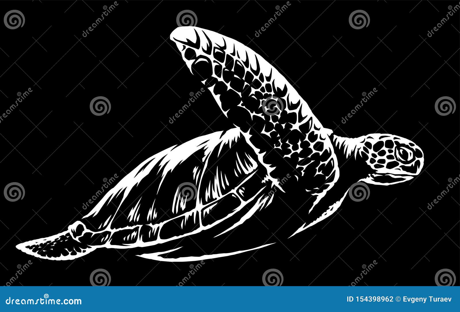 Black and White Linear Paint Draw Turtle Illustration Art Stock ...