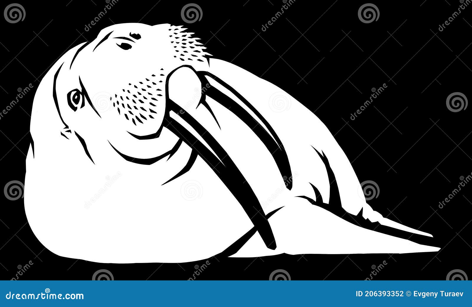 How To Draw Walrus For Children. Step By Step Drawing Tutorial Cartoon ...