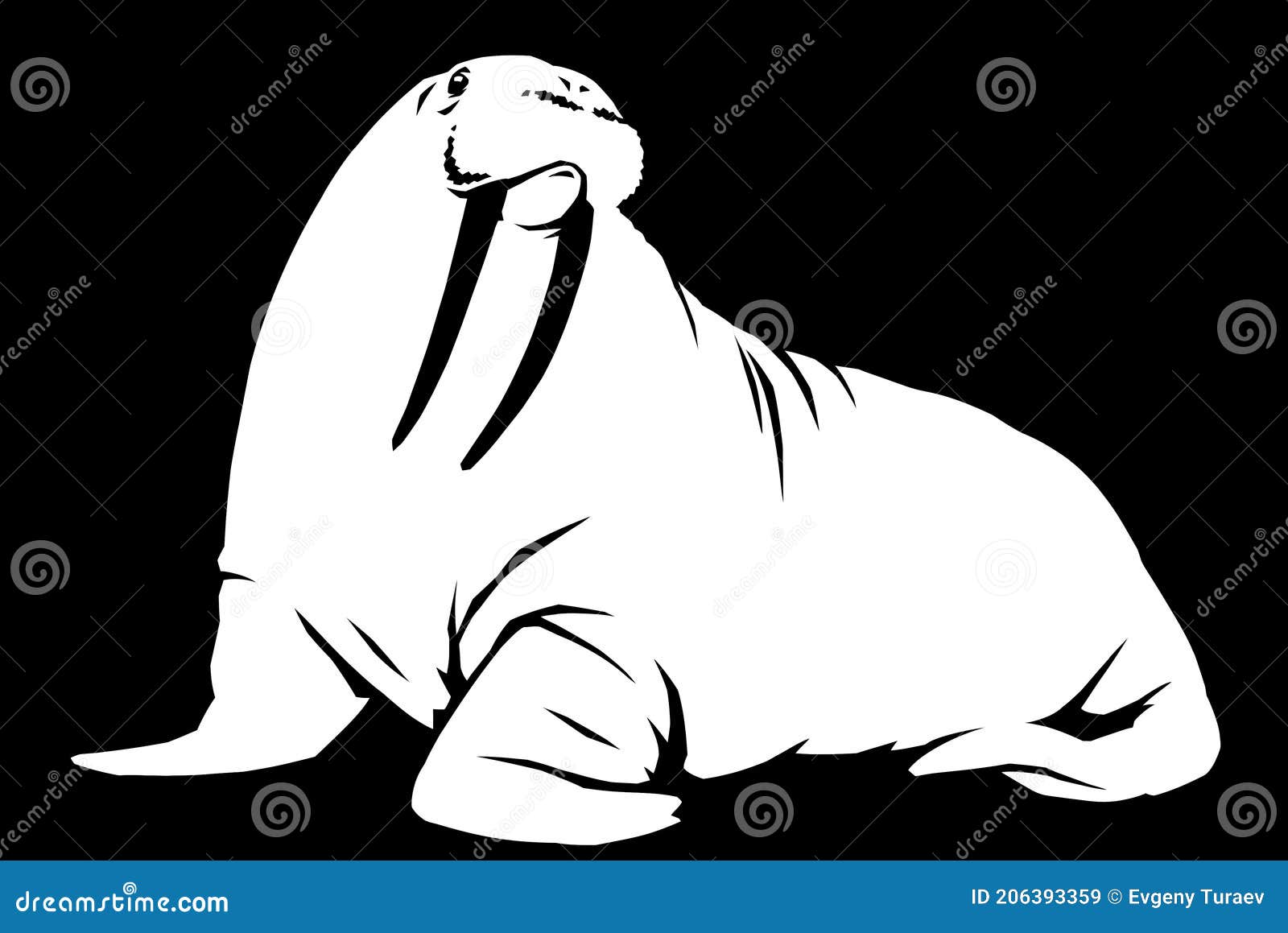 How To Draw Walrus For Children. Step By Step Drawing Tutorial Cartoon ...