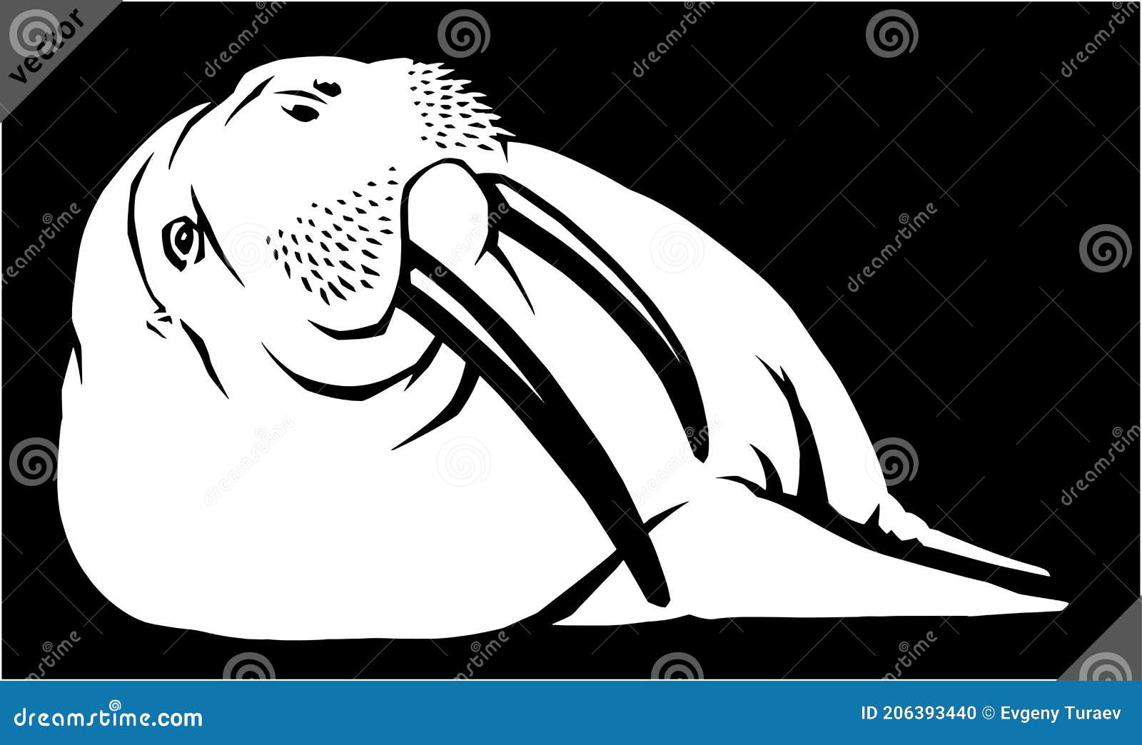 Black and White Linear Paint Draw Walrus Illustration Art Stock Vector - Illustration of cold ...