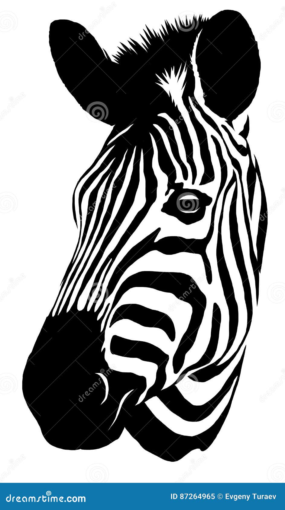Black and White Linear Paint Draw Zebra Illustration Stock Illustration ...
