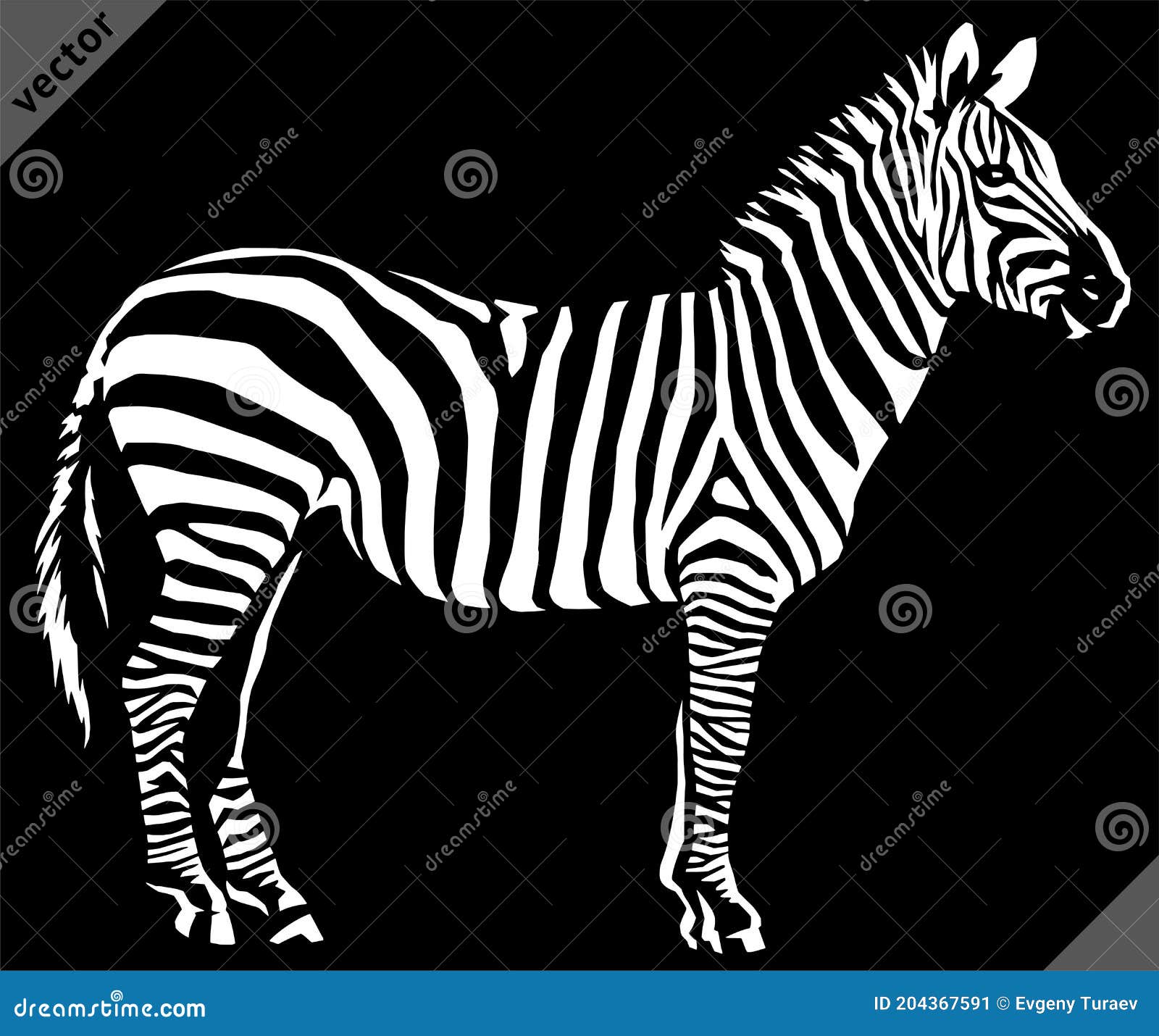 Black and White Linear Paint Draw Zebra Vector Illustration Art Stock ...