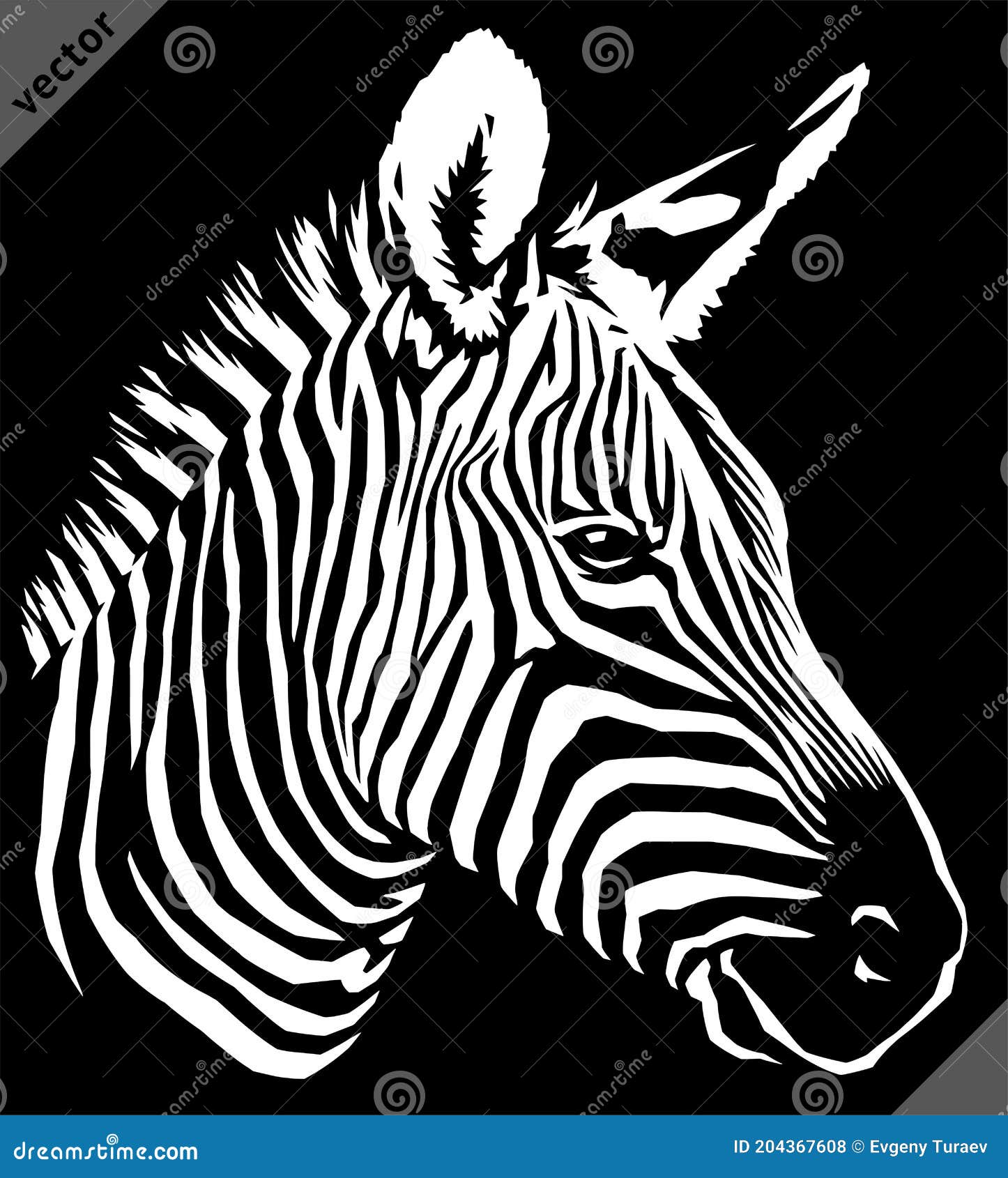 Black and White Linear Paint Draw Zebra Vector Illustration Art Stock ...