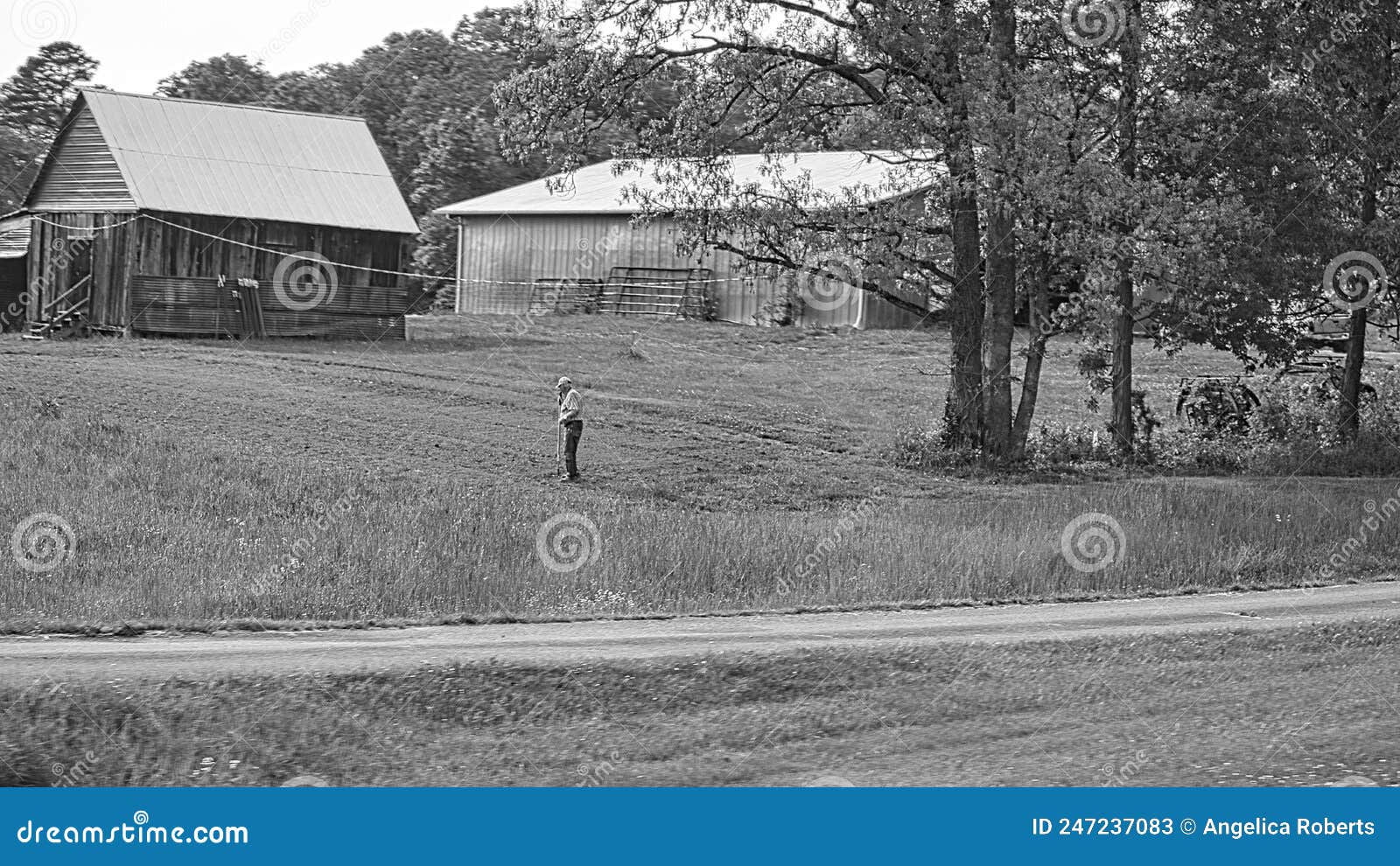 Black and White Lone Working Farmer Stock Image - Image of ruins ...