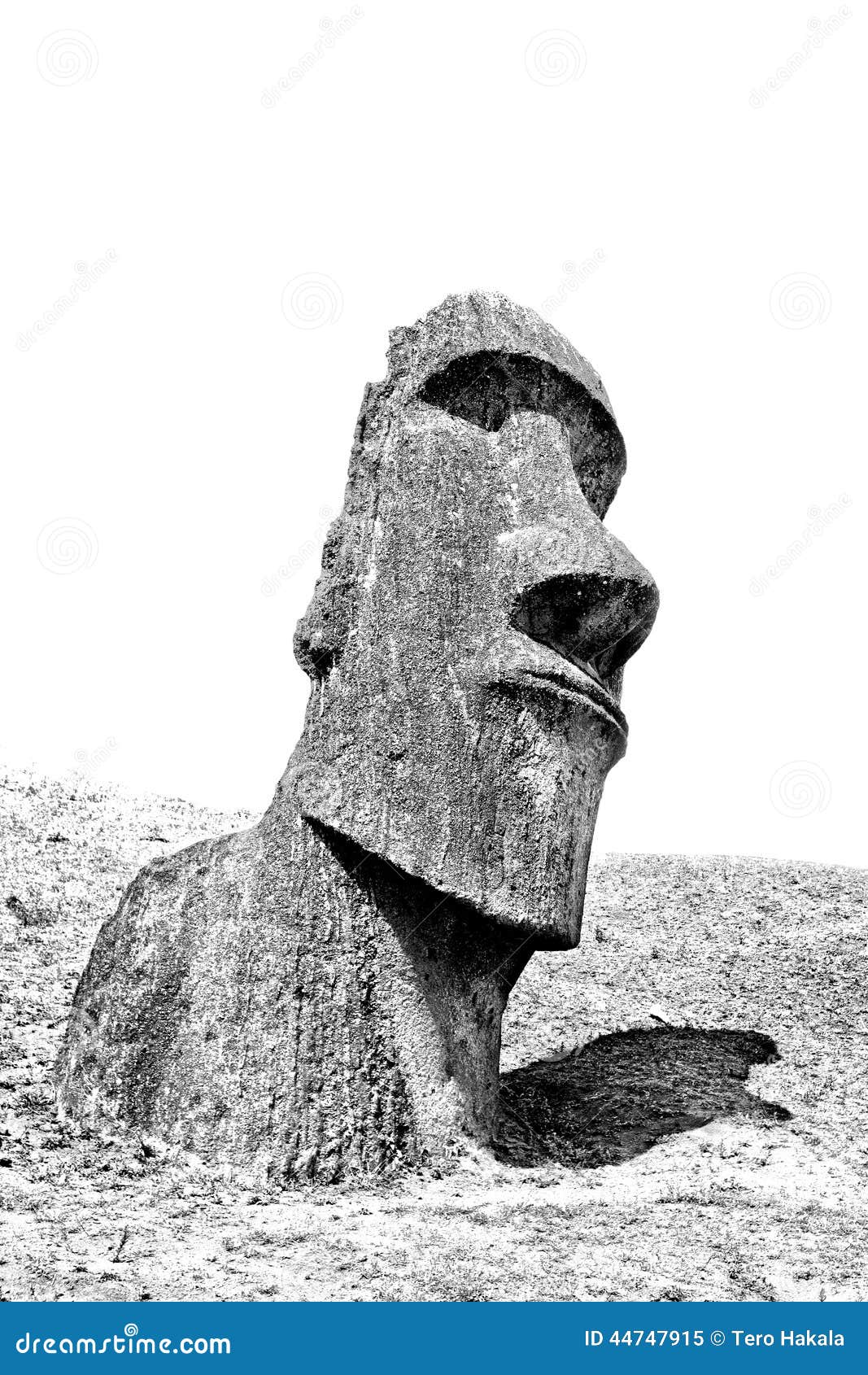 Black And White Moai Head On A Hill In Easter Island Royalty-Free Stock ...