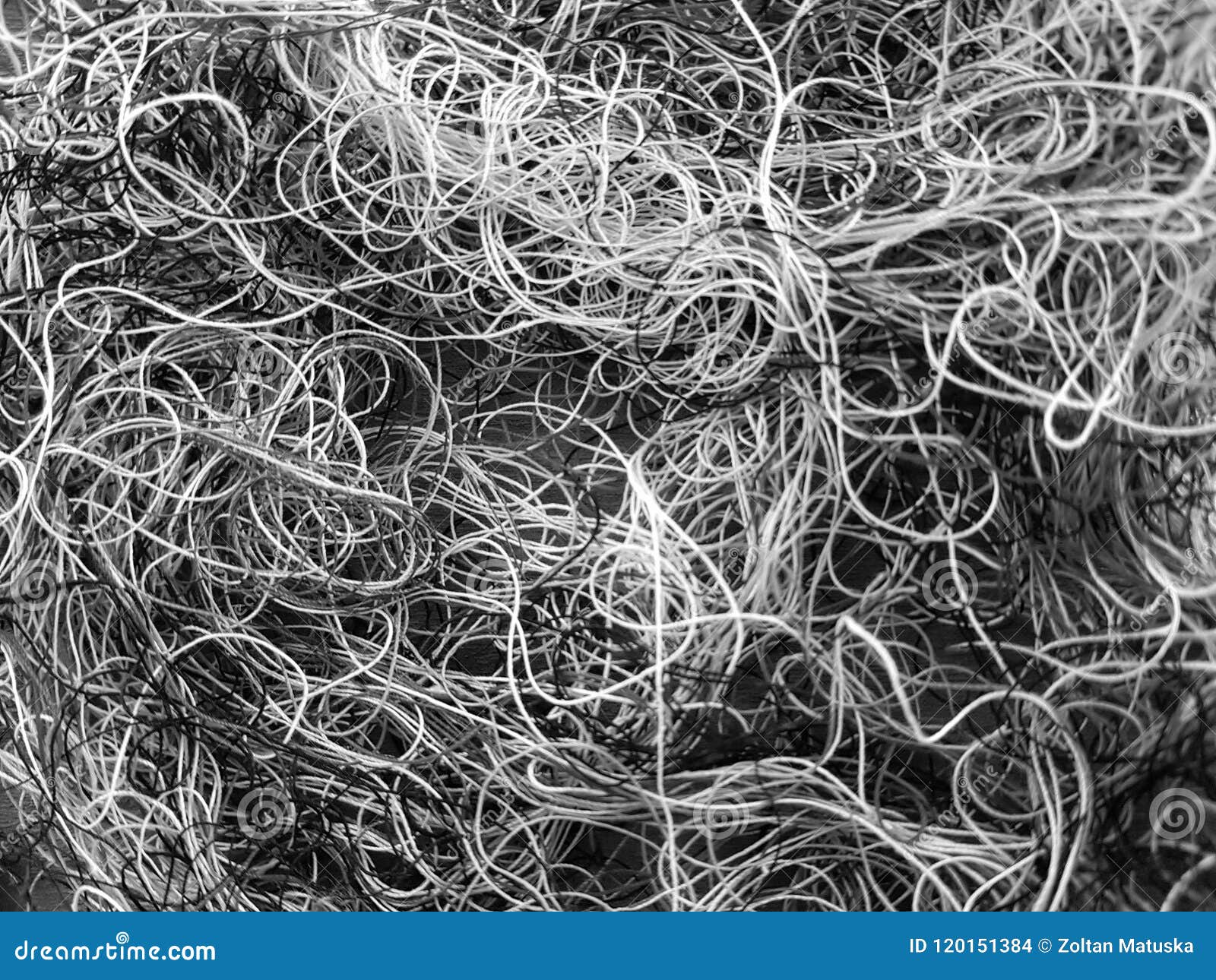 Black and White Monochrome Threads Wavy Abstract Art Textile Fabric ...