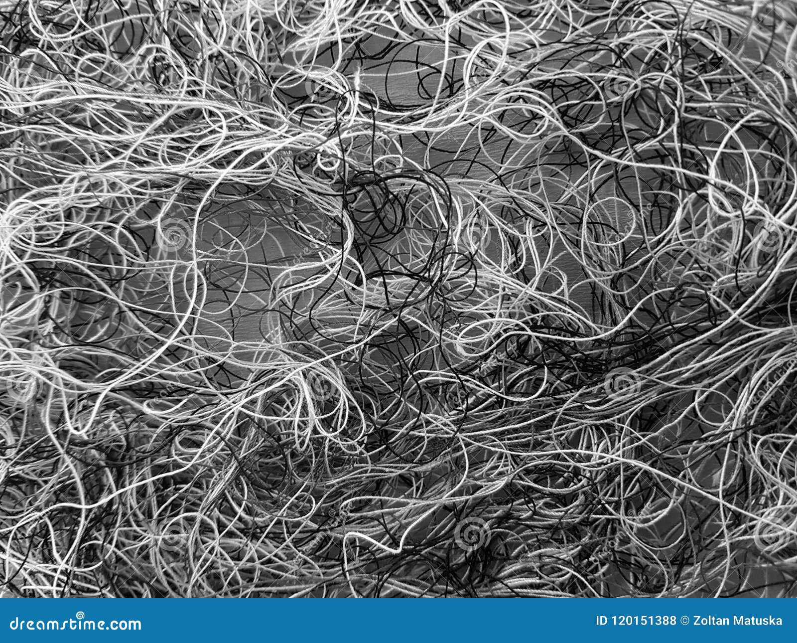 Black and White Monochrome Threads Wavy Abstract Art Textile Fabric ...