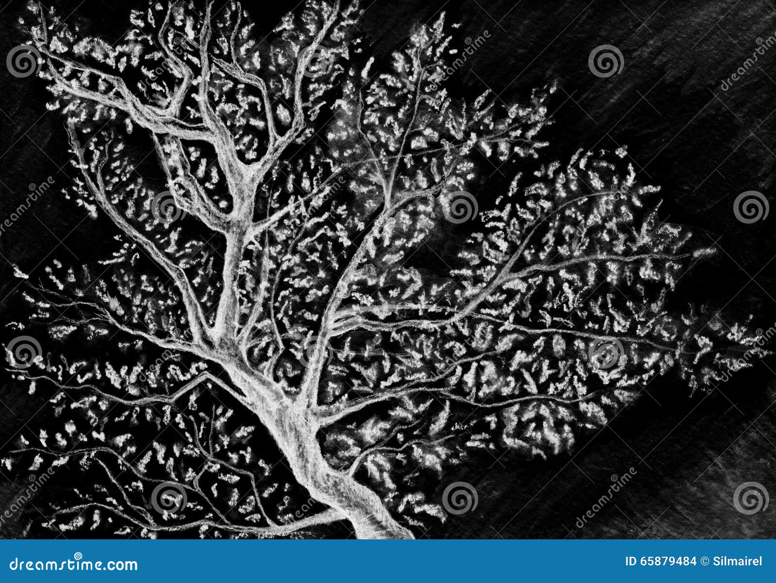 Monochrome Tree Silhouette Sketched Line Art Set Isolated Vector ...