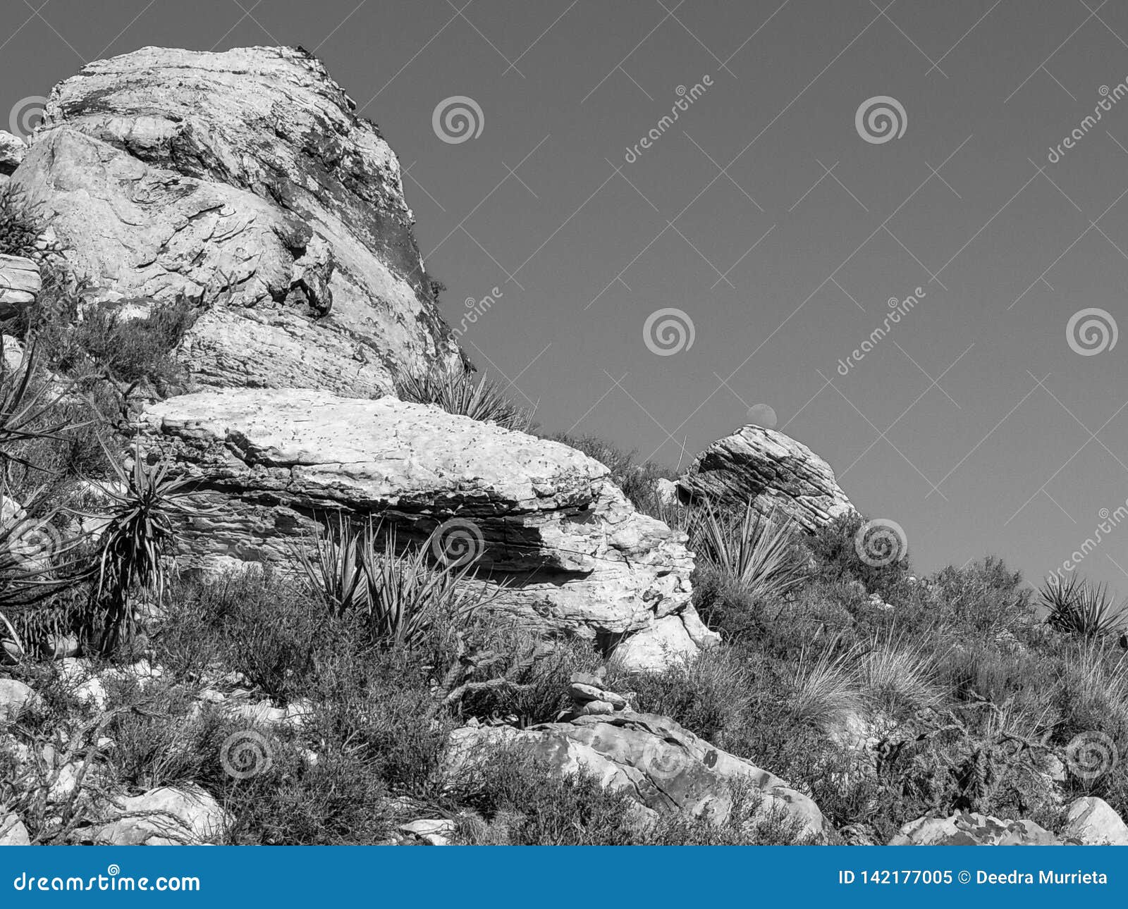 Black and White Moon Over Rocks Stock Image - Image of rising, nature ...