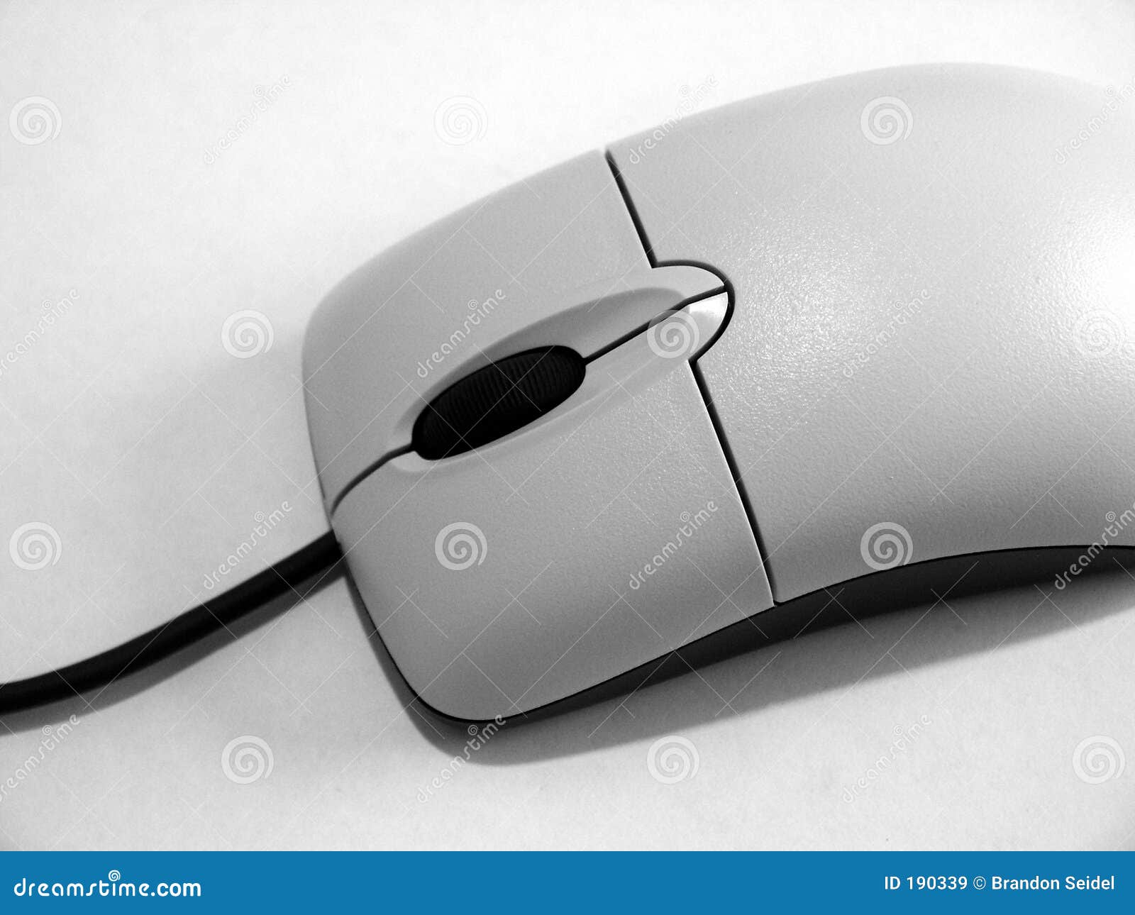 Black & White Mouse stock image. Image of mice, laptop - 190339