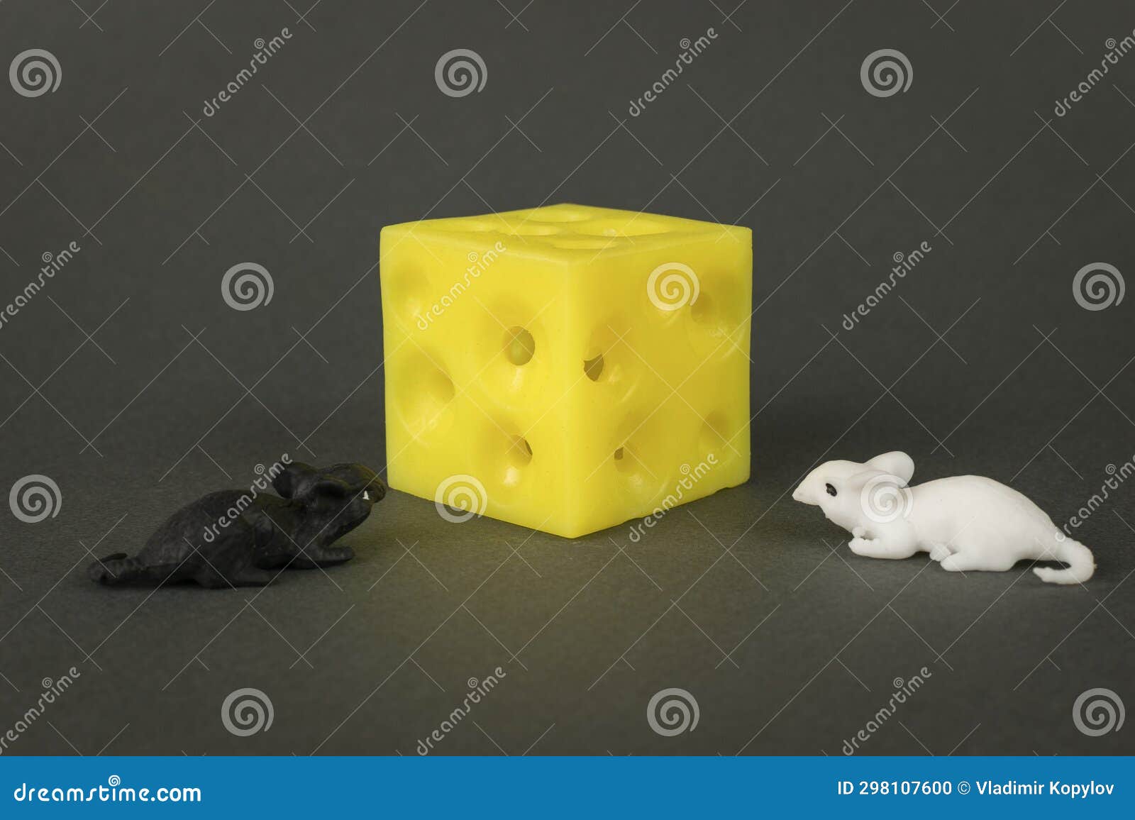 A Black and White Mouse Crawling Towards a Large Piece of Cheese Stock ...