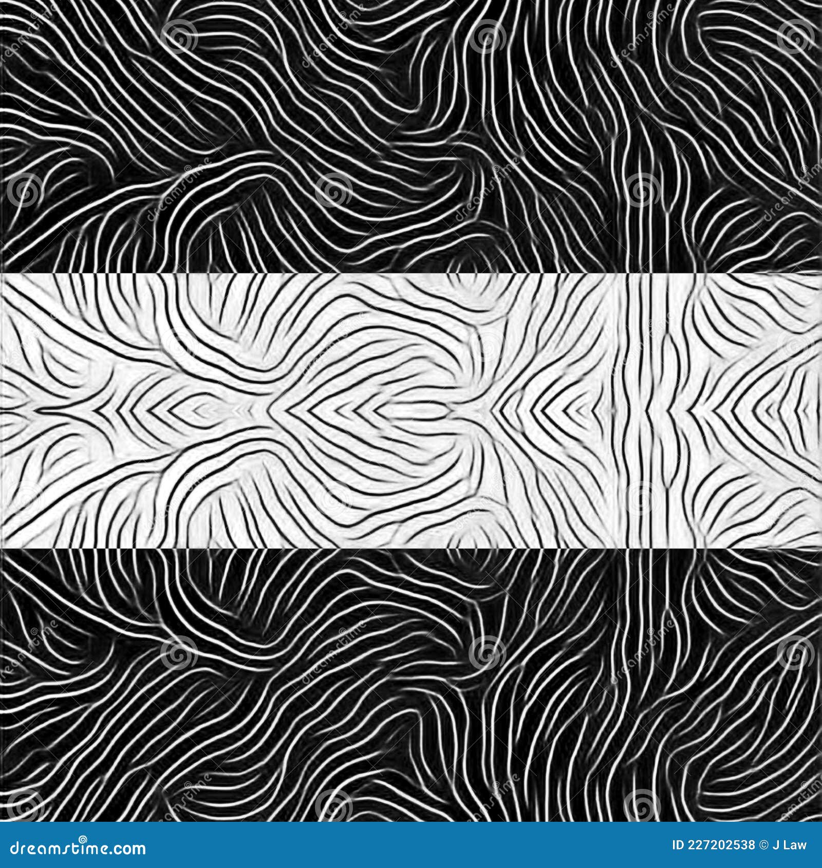 Positive and Negative Version of Contour Line Pattern Stock ...