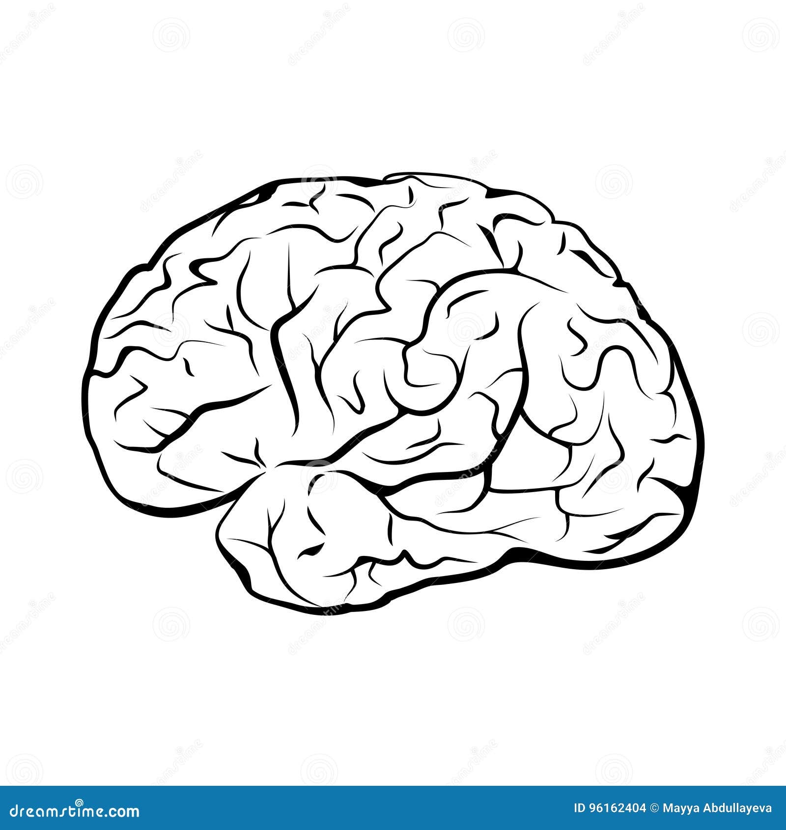 Outline Brain Upper View Vector Icon. Isolated Black Simple Line ...