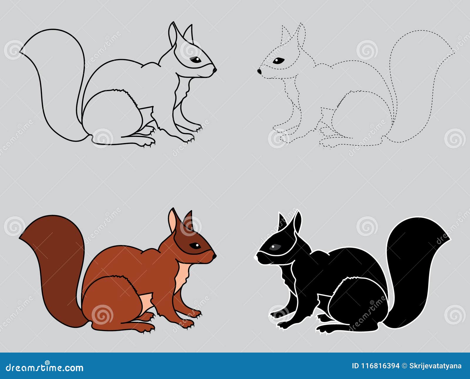 Hand Drawn Illustration of Four Wild Squirrels Stock Vector ...