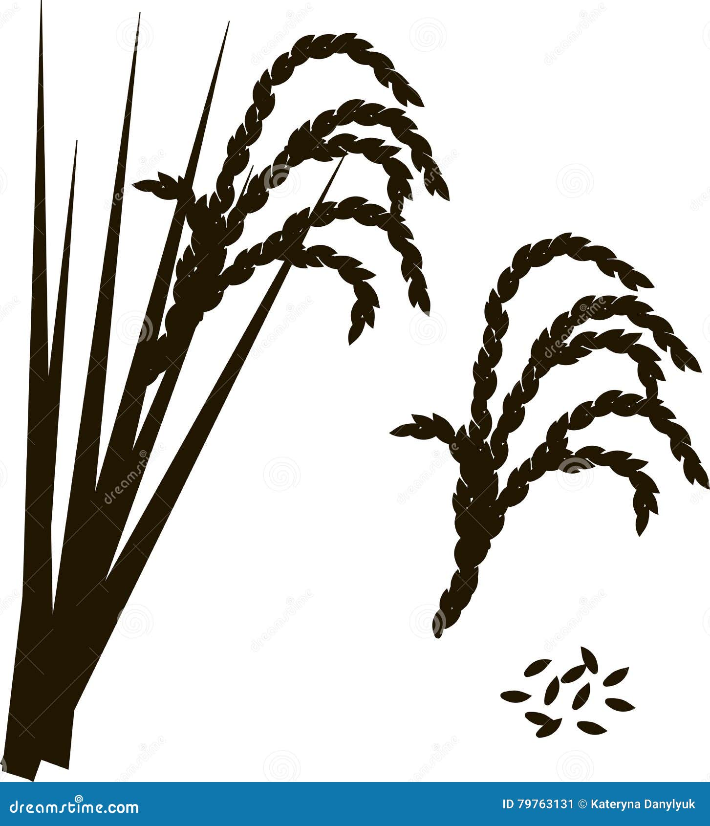 Black and White Outline of Rice Stock Vector - Illustration of painting ...