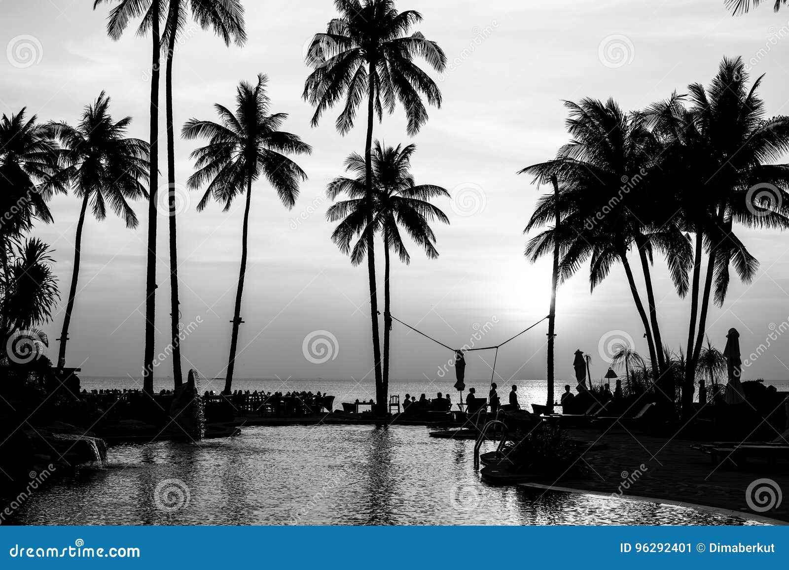 Black and White Palm Trees Silhouettes on Tropical Beach. Nature. Stock ...